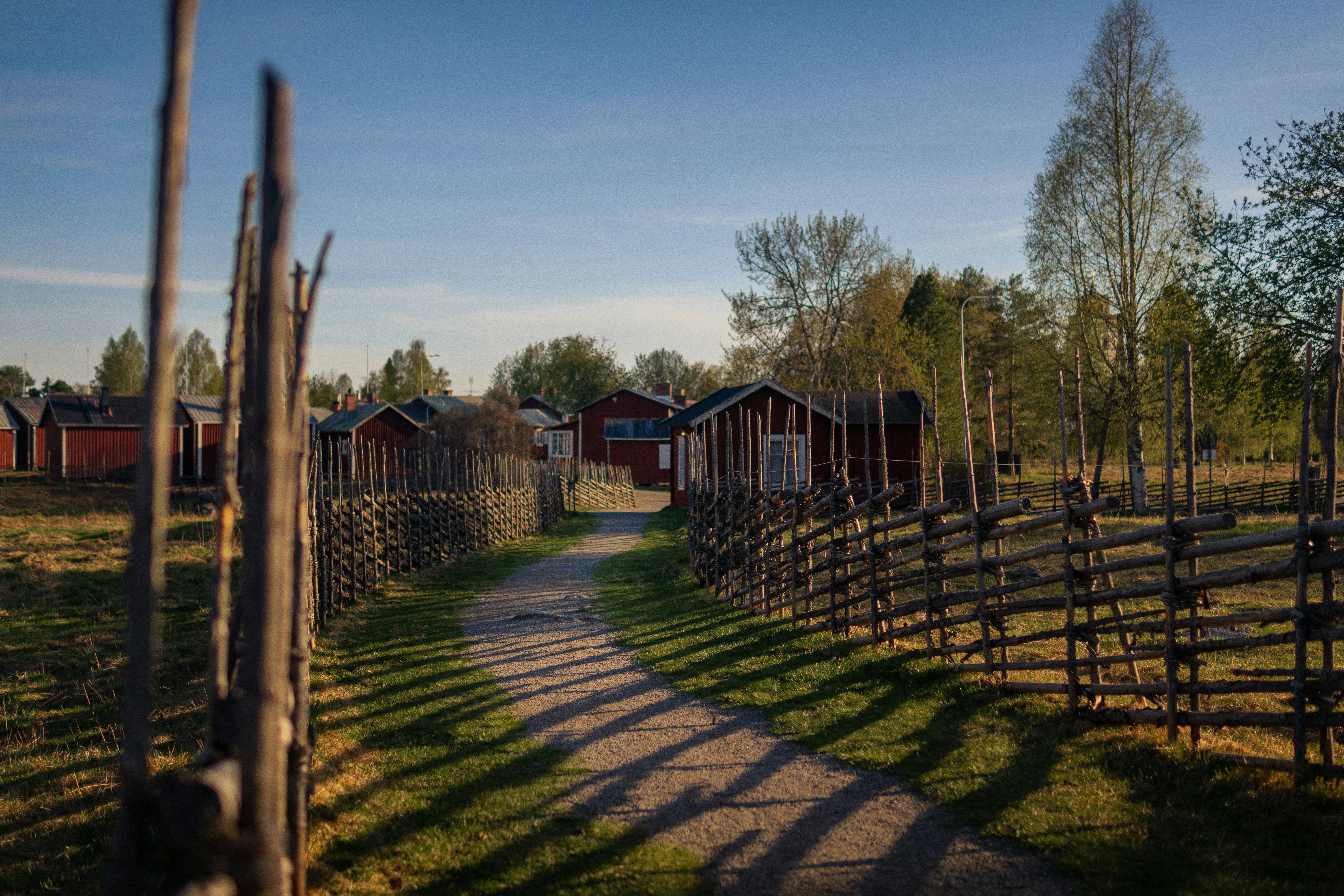 Summer evening at the open-air museum Hägnan in Gammelstads kyrkstad a few kilometers outside of Luleå in Norrbotten, Sweden. Path leads to Unesco world heritage site.