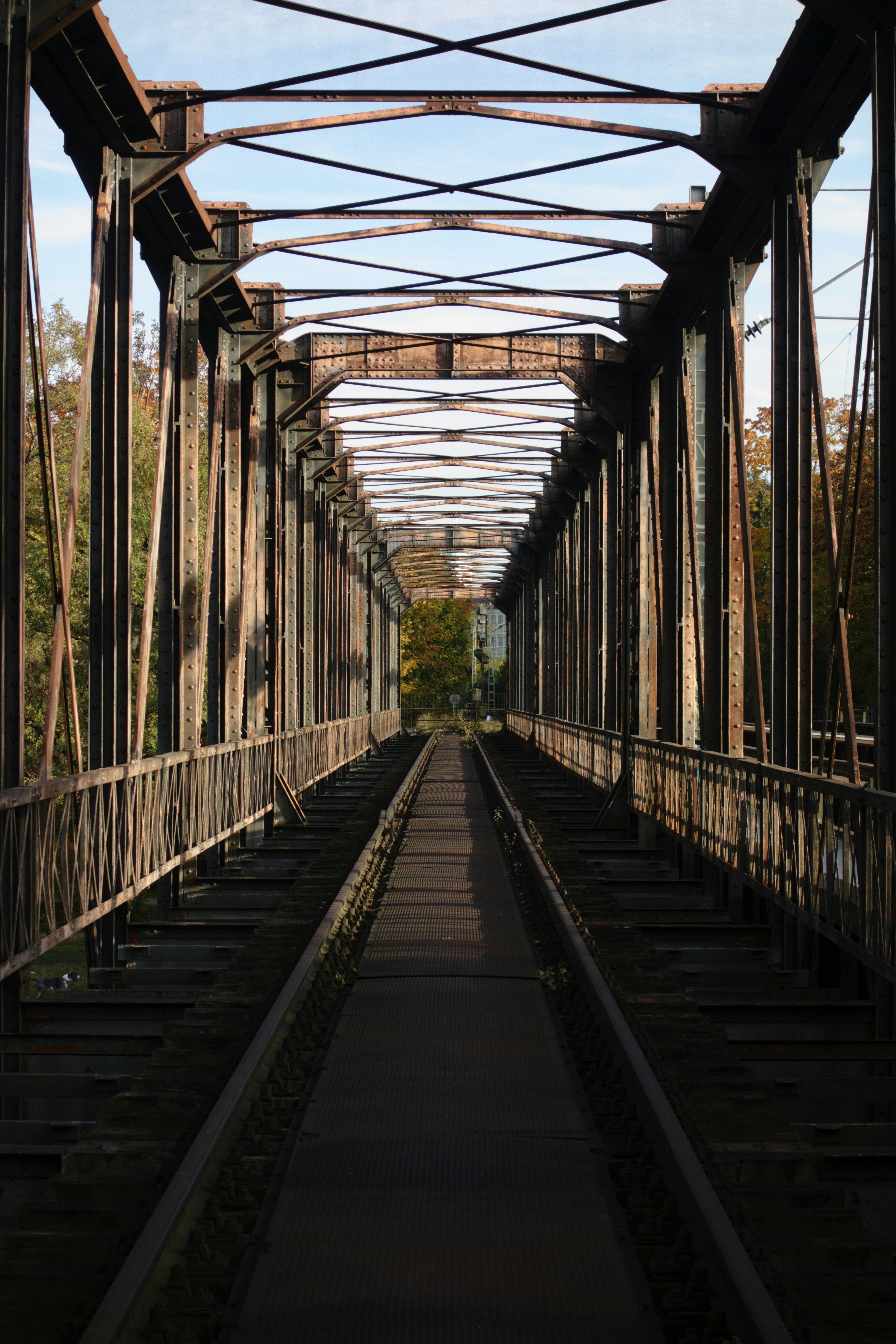 Abandoned railway bridge with rusted metal beams and a narrow path leading into the distance, framed by trees in autumn colors.