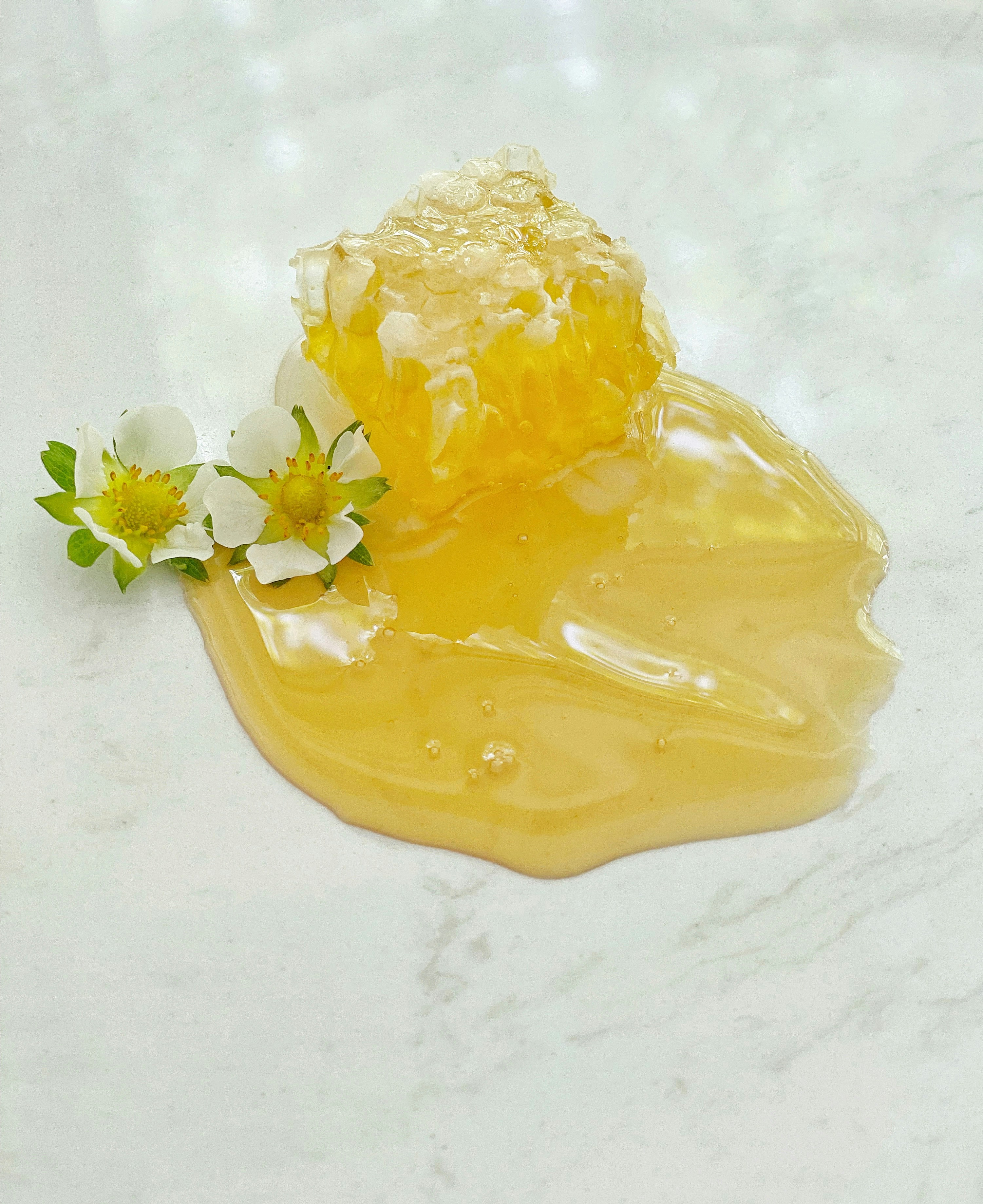 Golden Honey Bloom on Marble: A Sweetstill Life