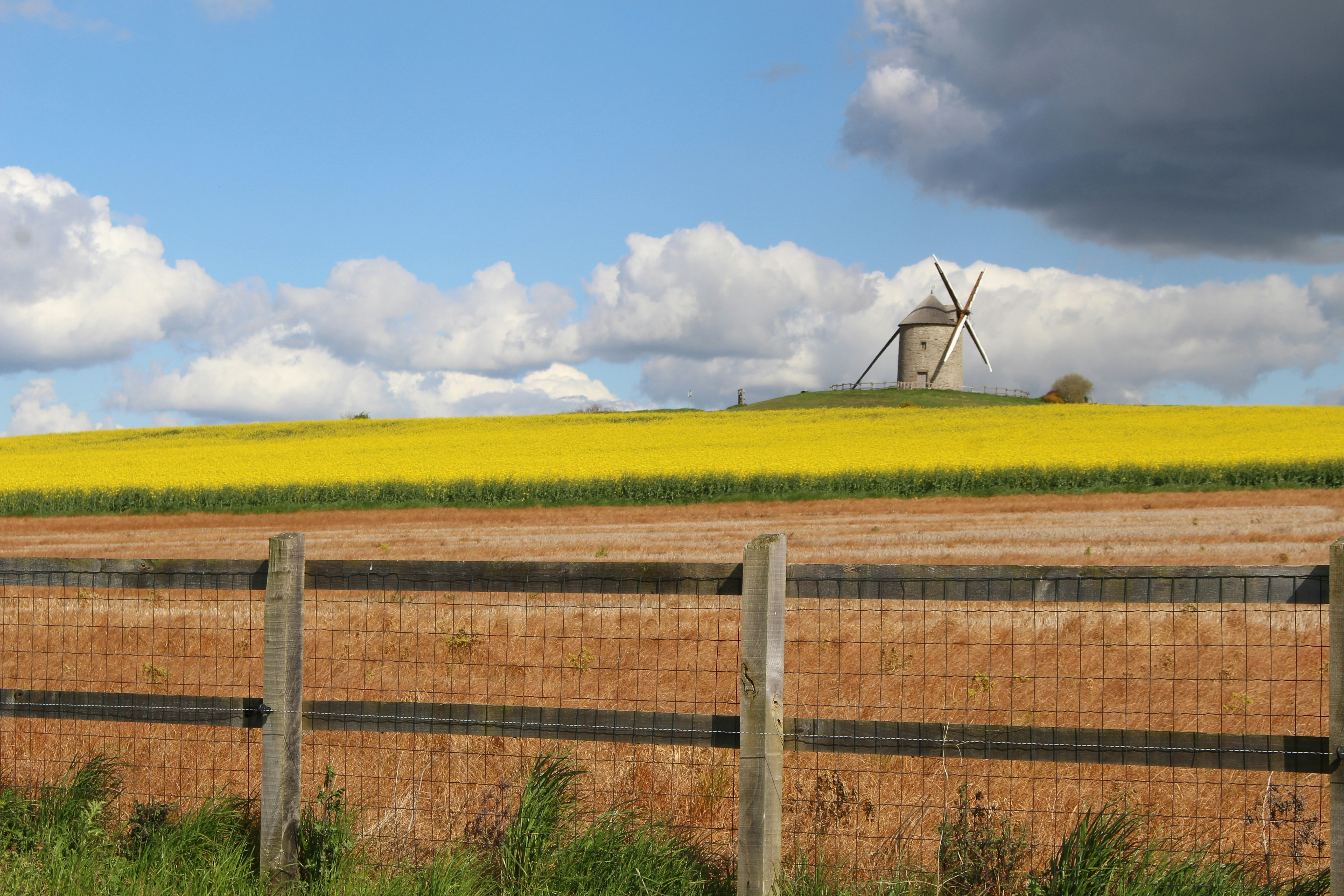 Windmill on the Horizon Over a Rustic Field and Fence