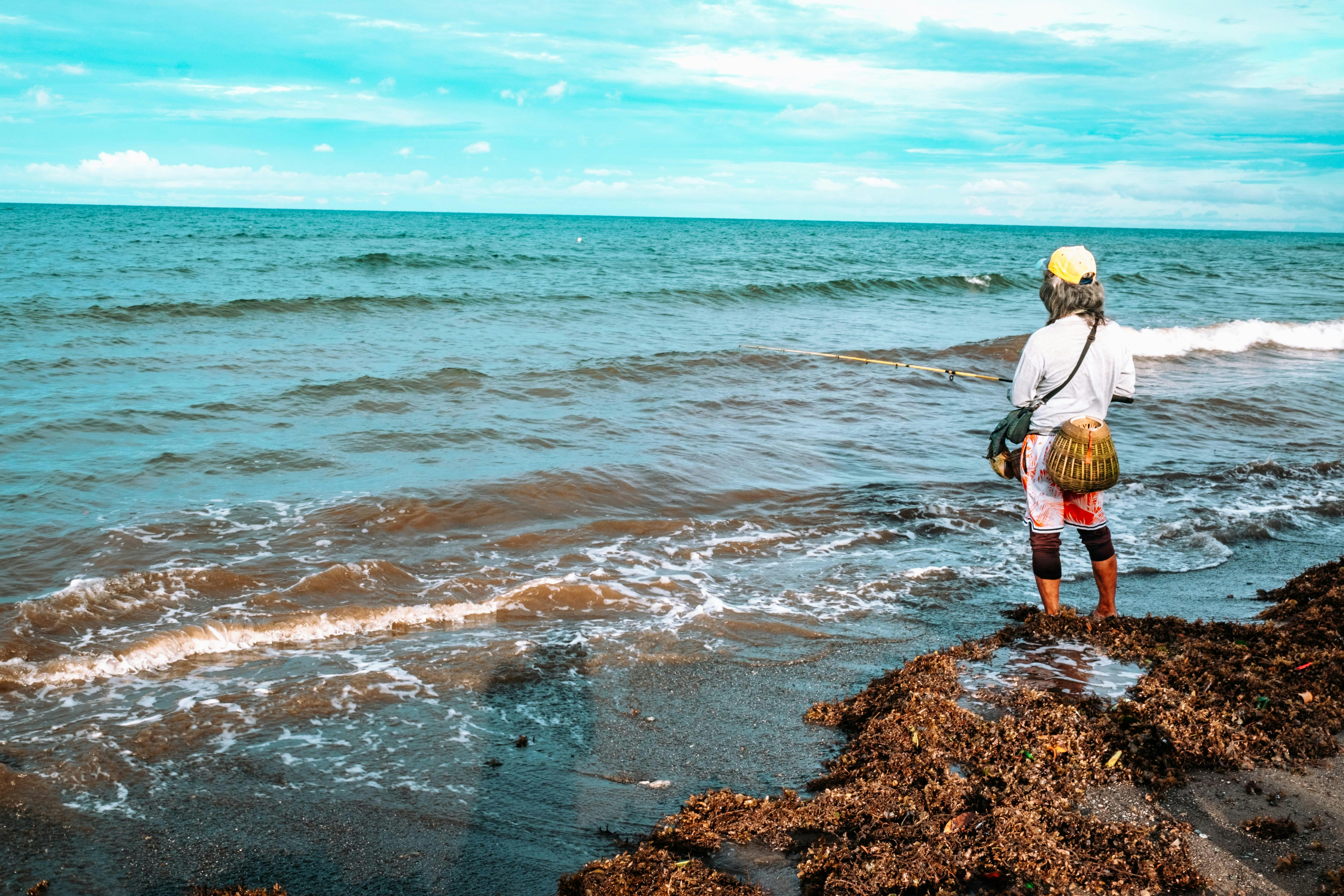 Edge-Watcher by the Teal Sea: A lone traveler on the rocky shore