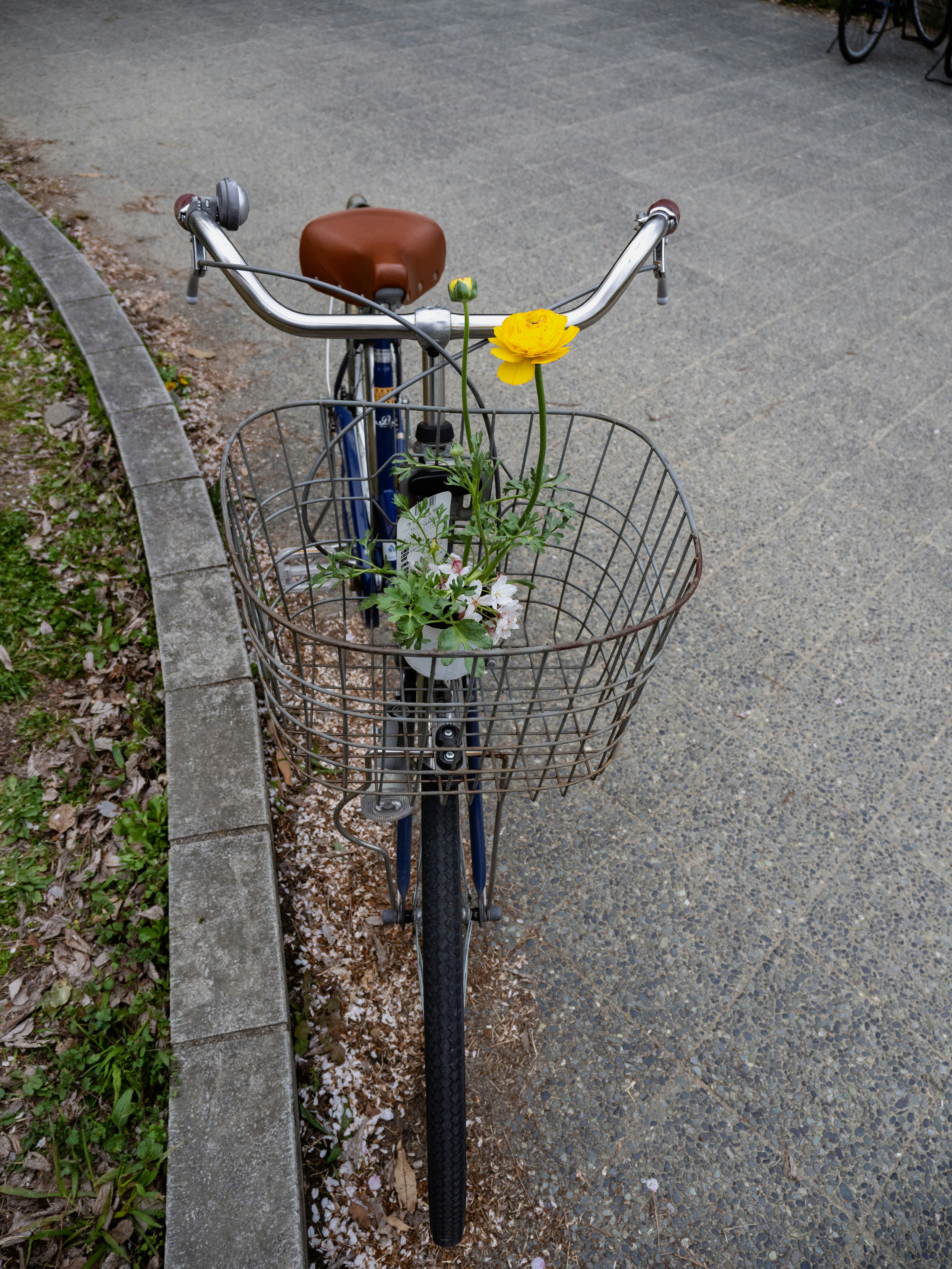 a bicycle with a basket full of flowers
