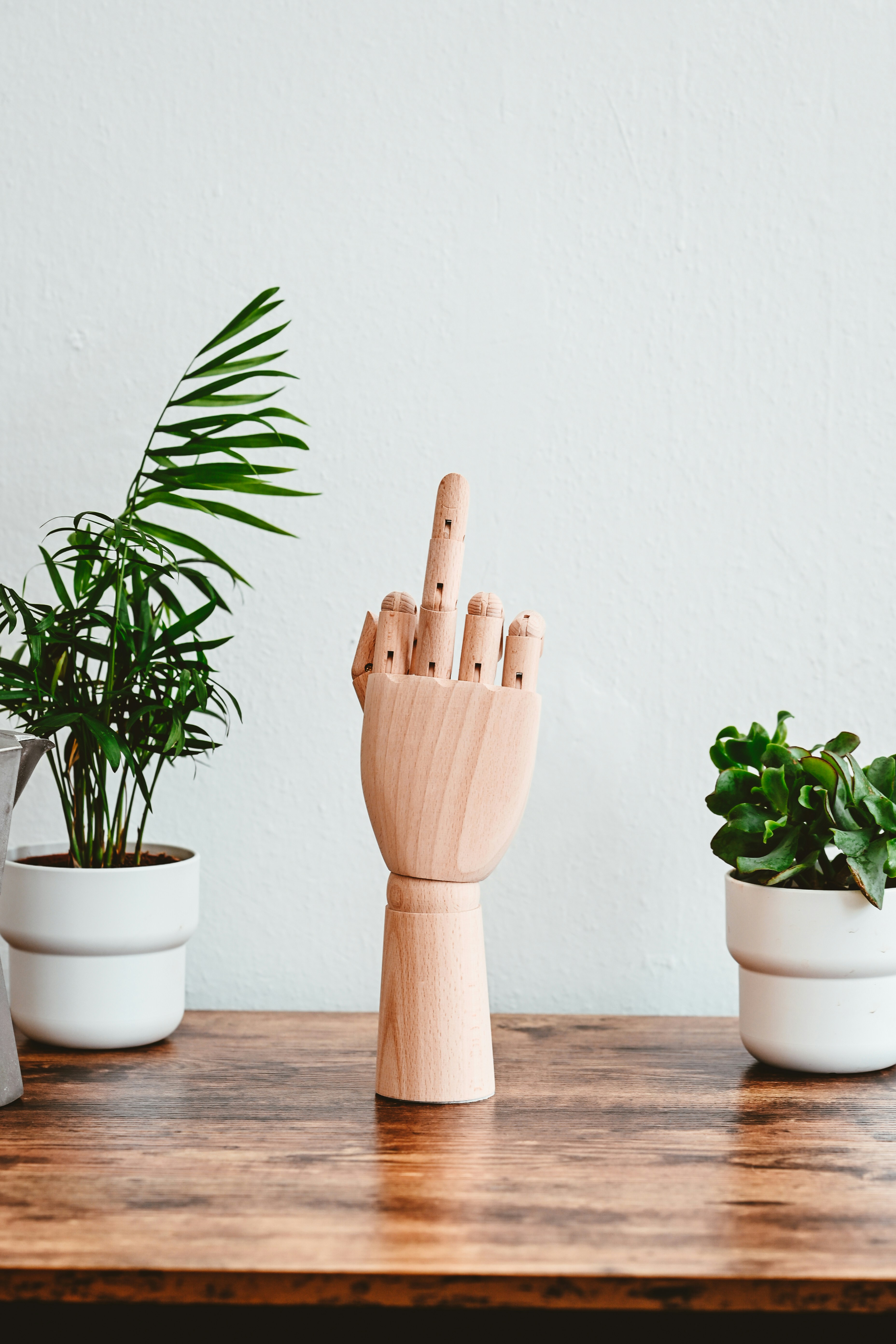 Wooden model hand displaying a provocative gesture, surrounded by potted plants on a wooden surface.