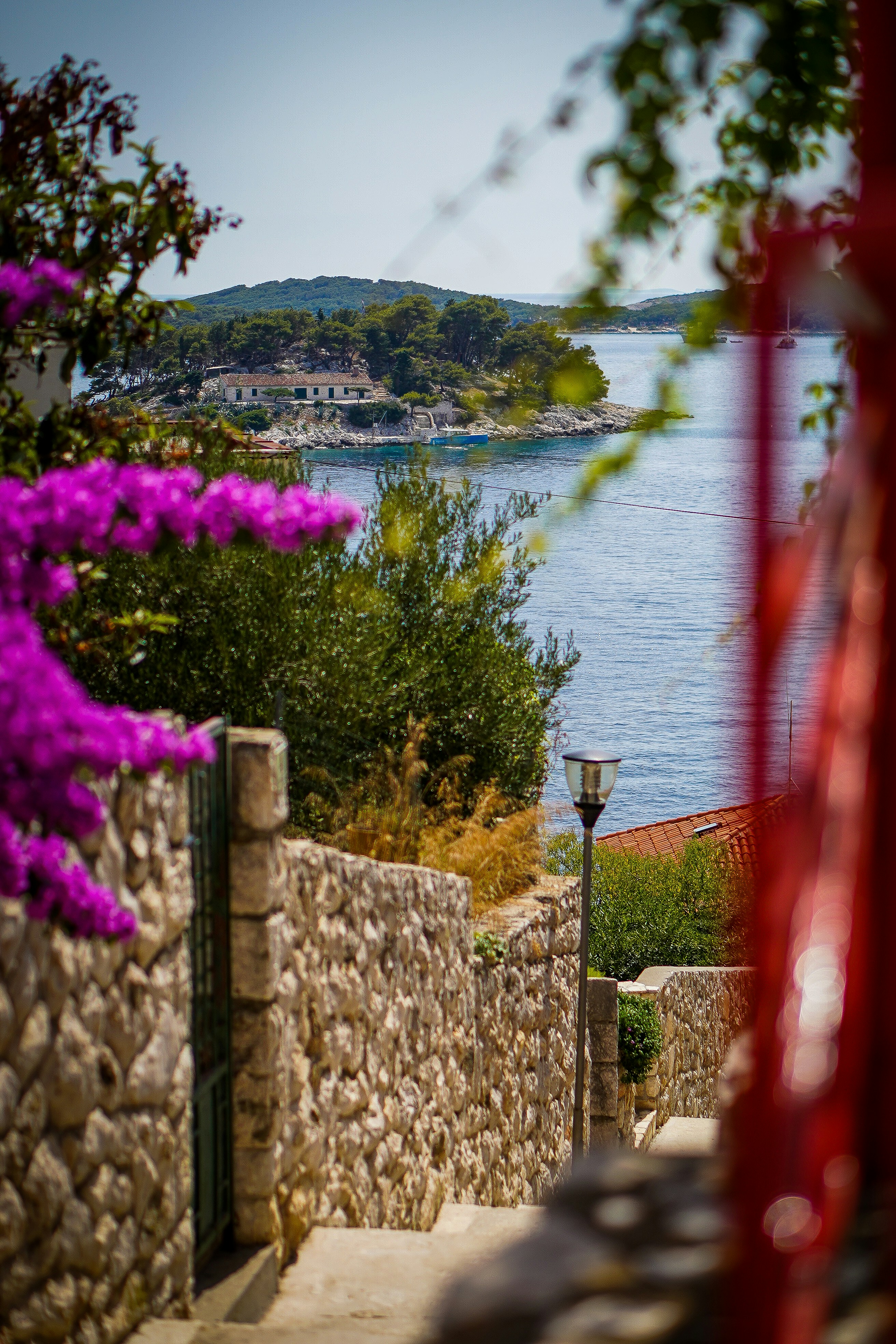 Bougainvillea Corridor: A Sunlit Walk Toward the Sea