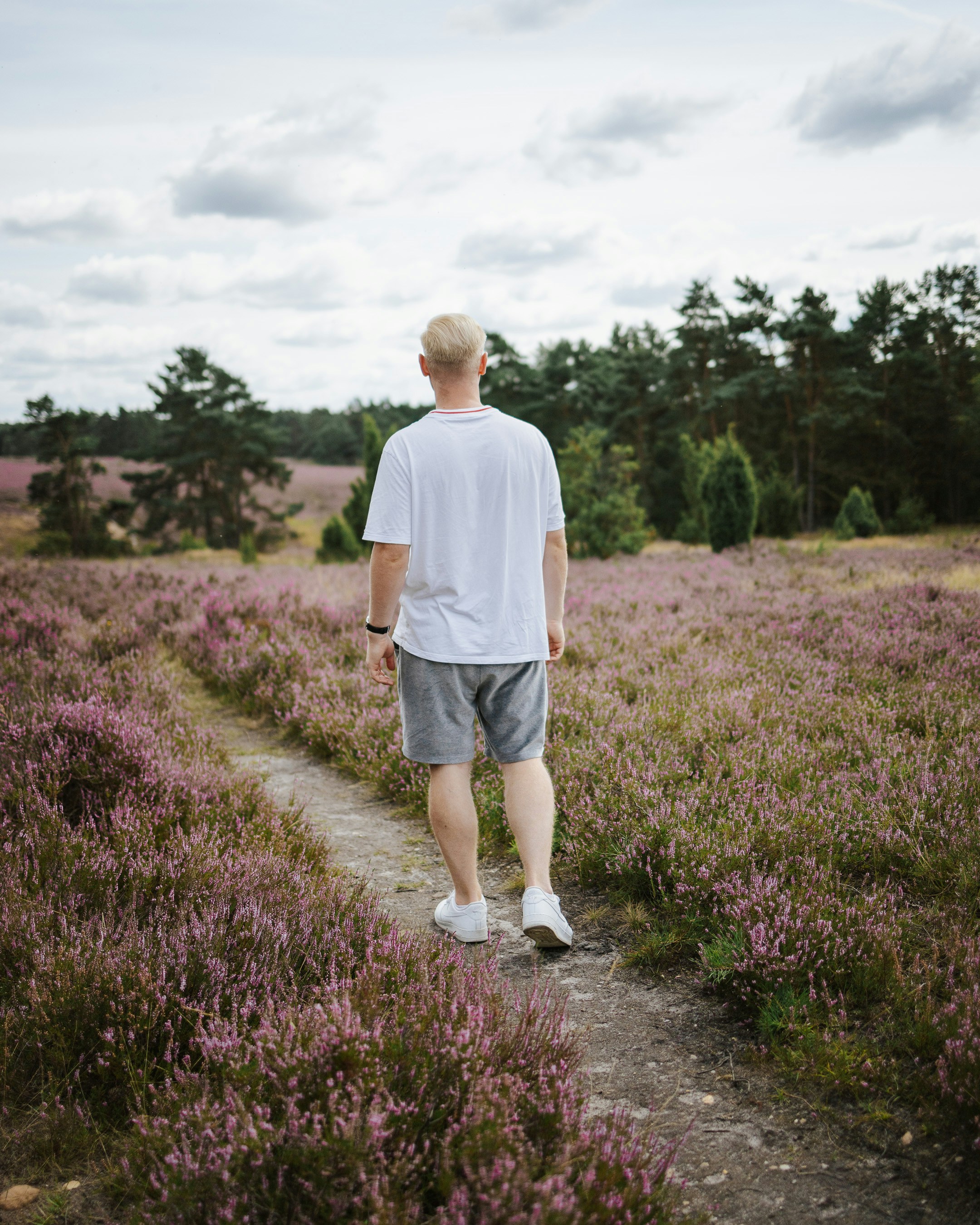 Man in casual attire walking through a field of blooming purple heather under a cloudy sky.