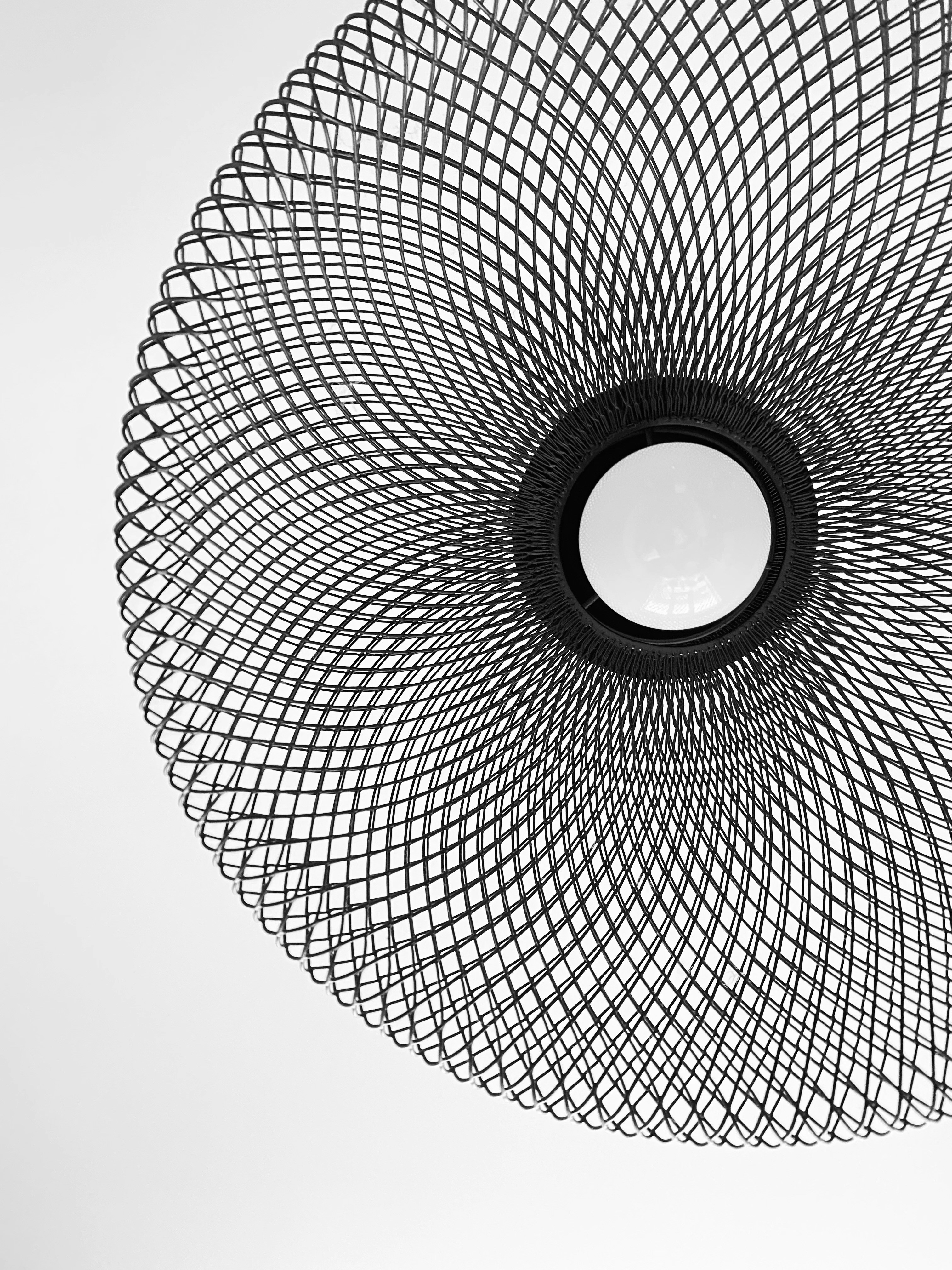 Concentric Mesh Halo: Close-Up of a Wire-Lamp Geometry