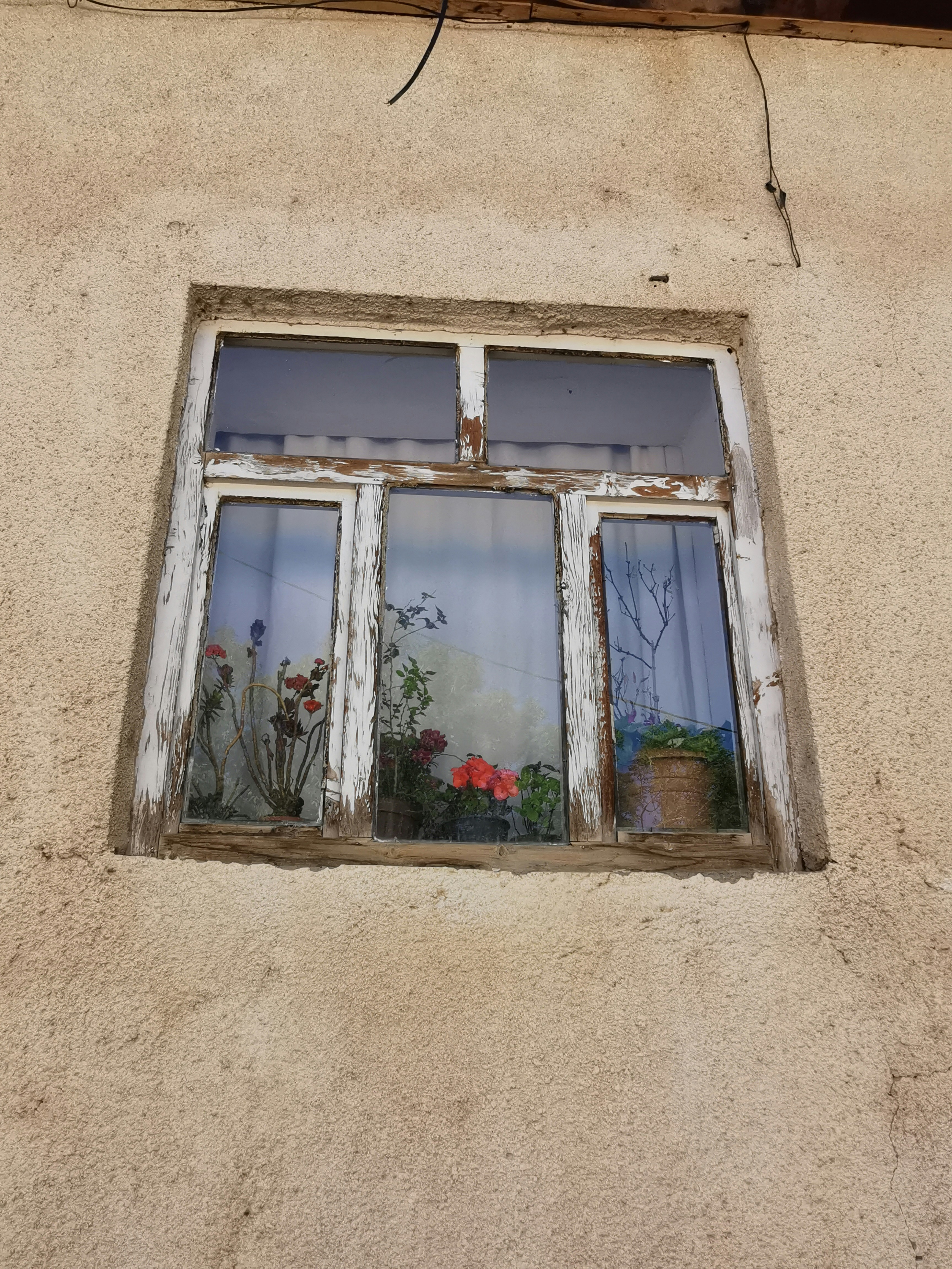 A rustic window adorned with vibrant flowers, framed by peeling paint, offering a glimpse of nature's beauty within a weathered wall.