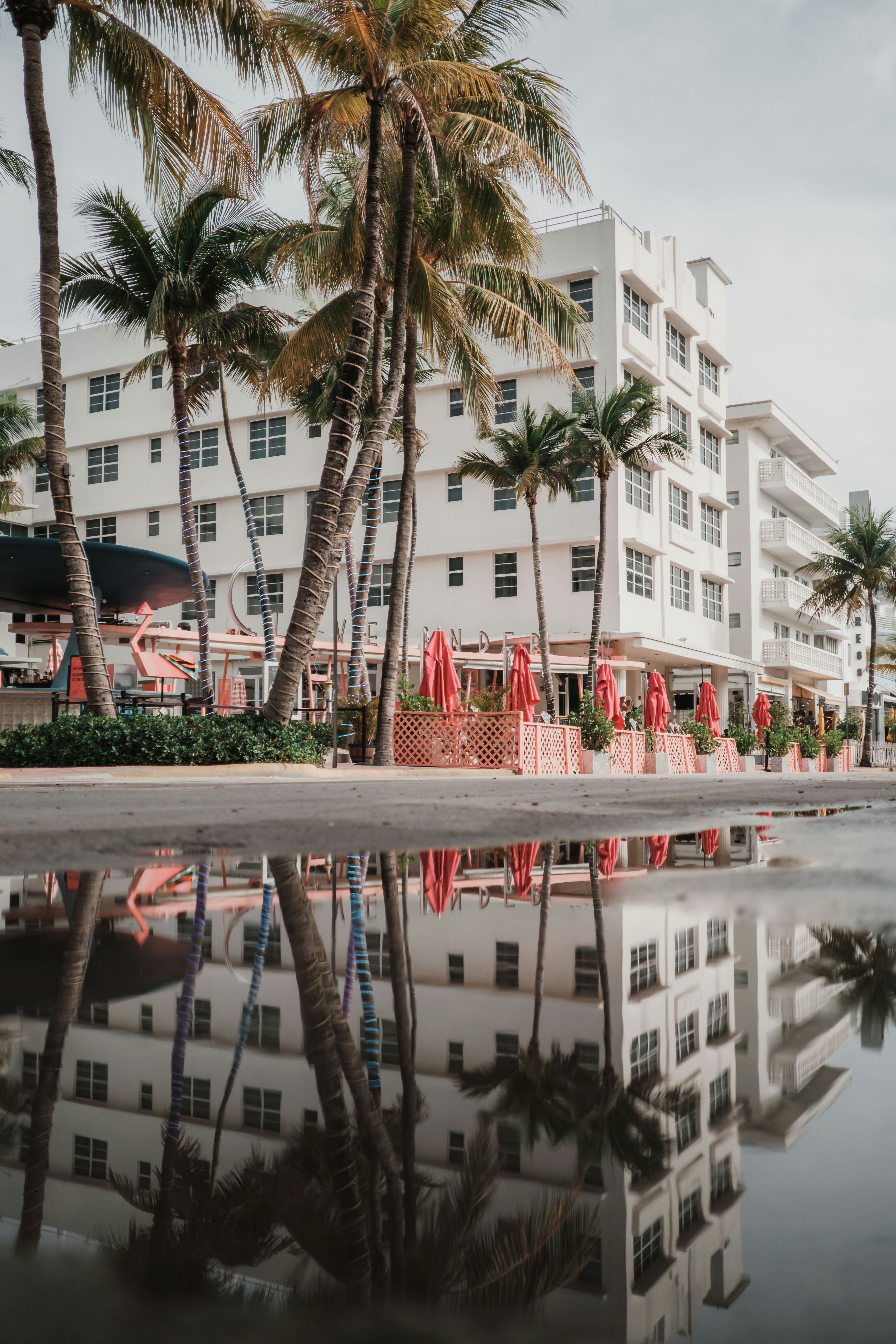 Palm-Front Reflections: A Coral Coast Hotel Echo