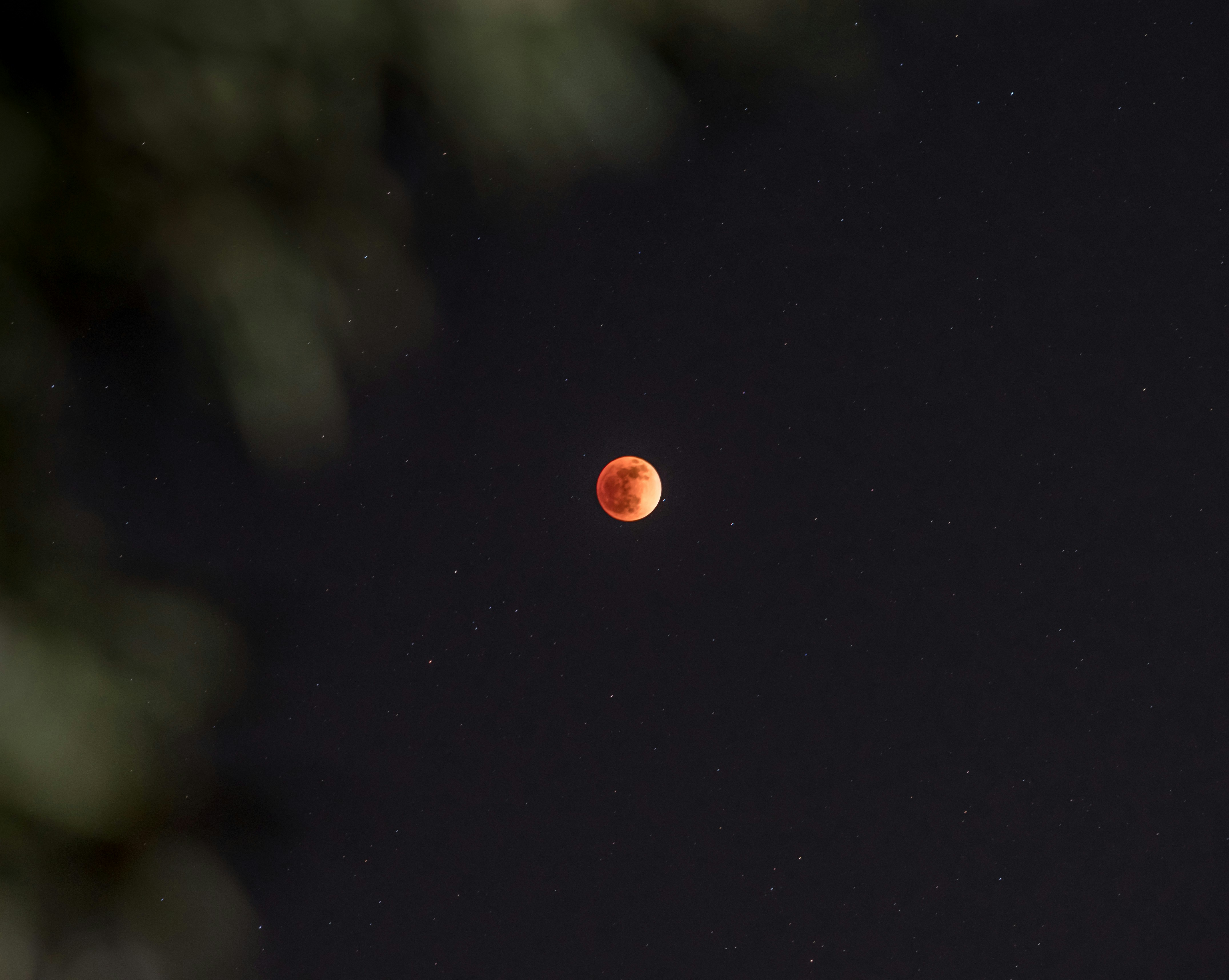 a red moon is seen in the night sky