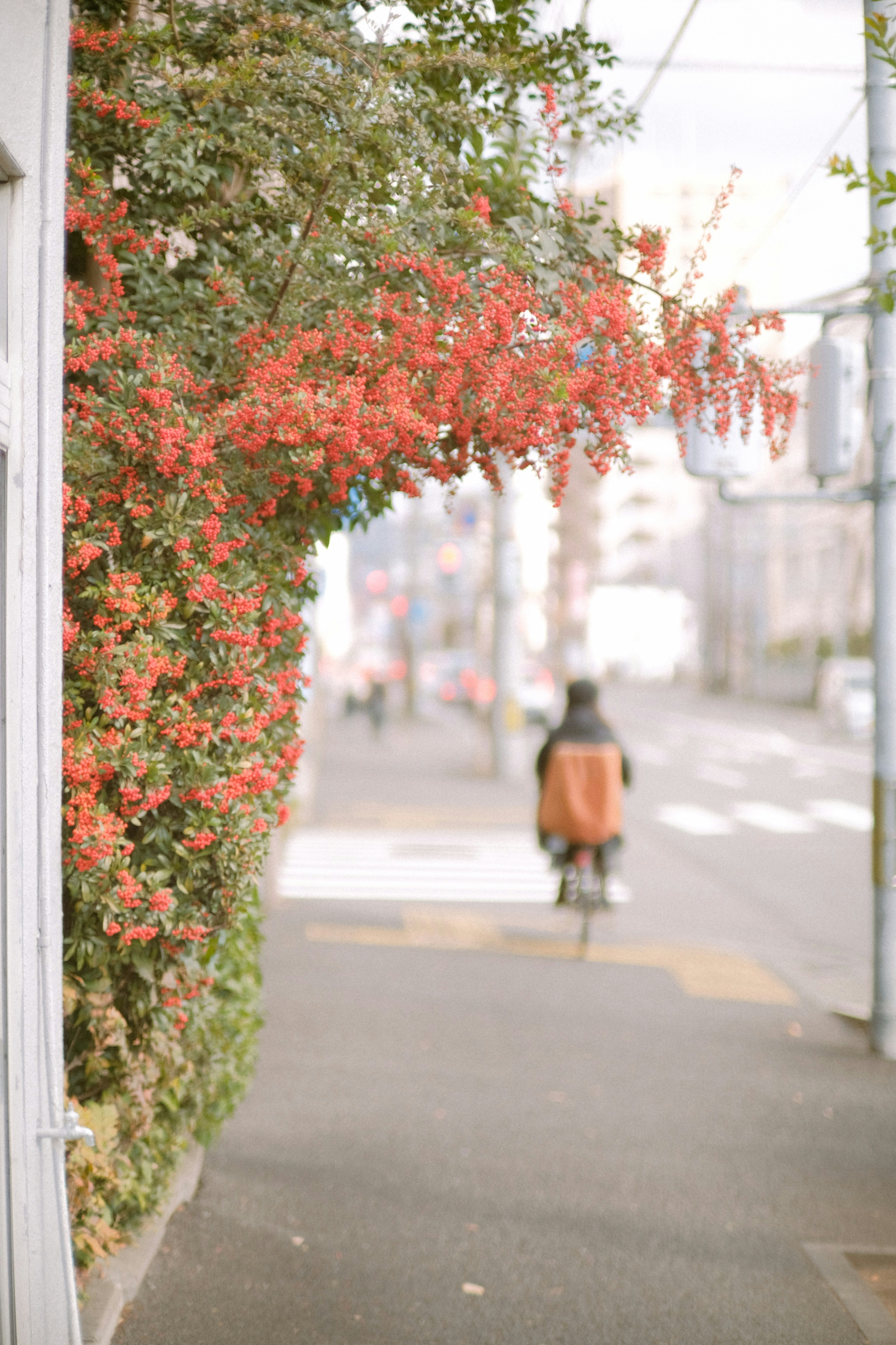 a person riding a bike down a street