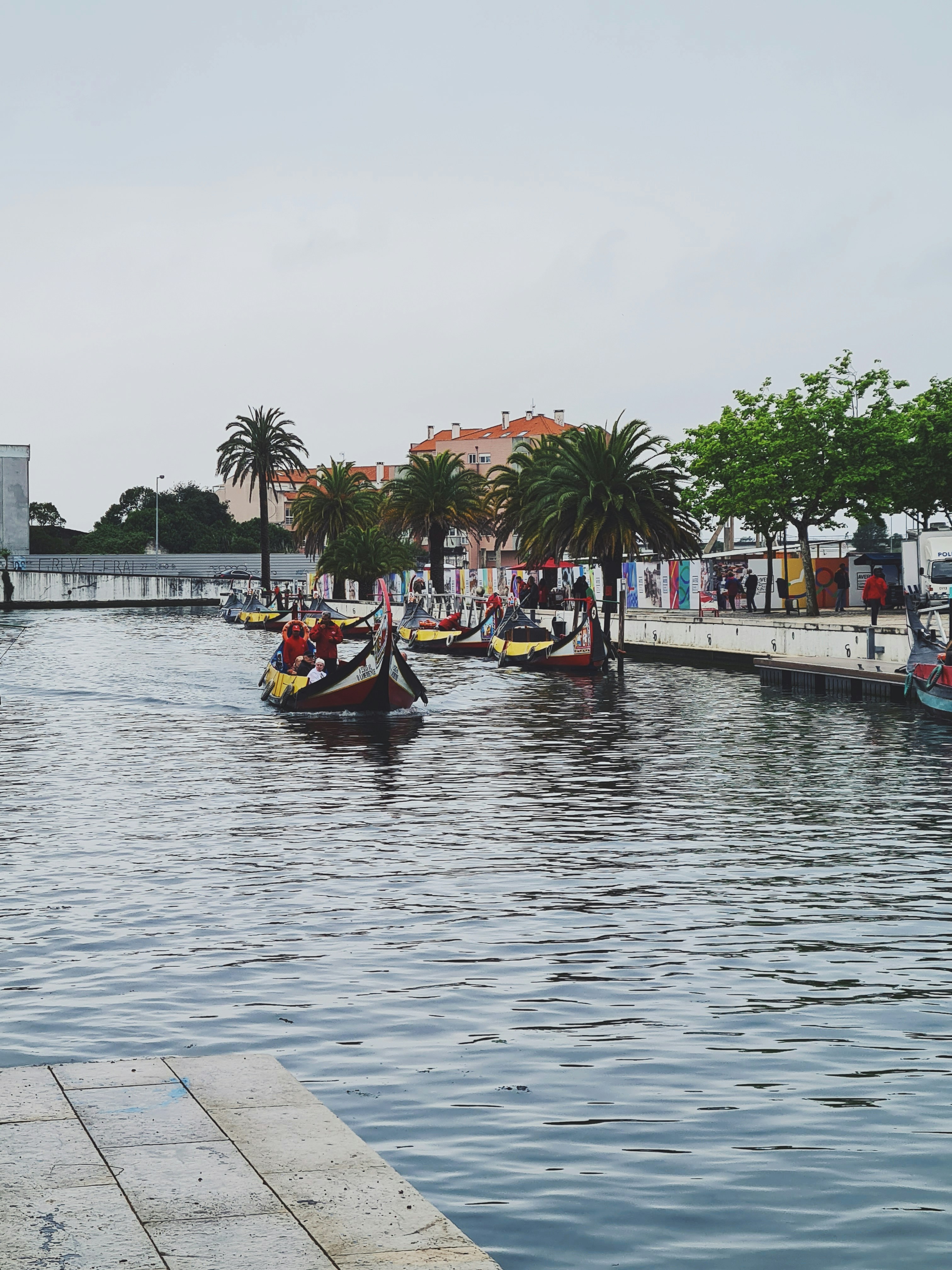 Gondola-Style Boats Glide Along a Palm-Fringed Canal