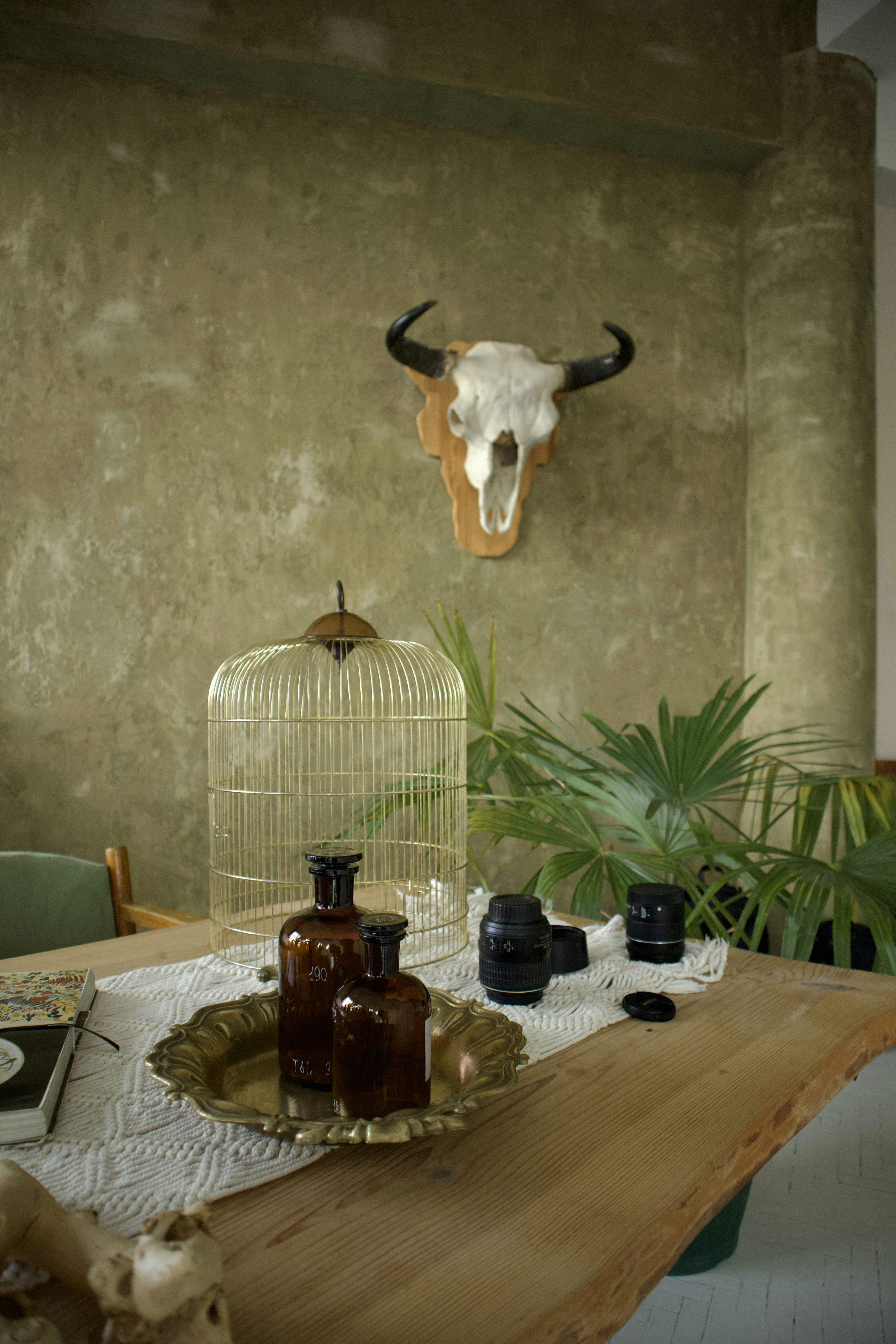 Vintage glass bottles and camera lenses arranged on a wooden table, with a decorative birdcage and a bull skull mounted on a textured wall in the background.