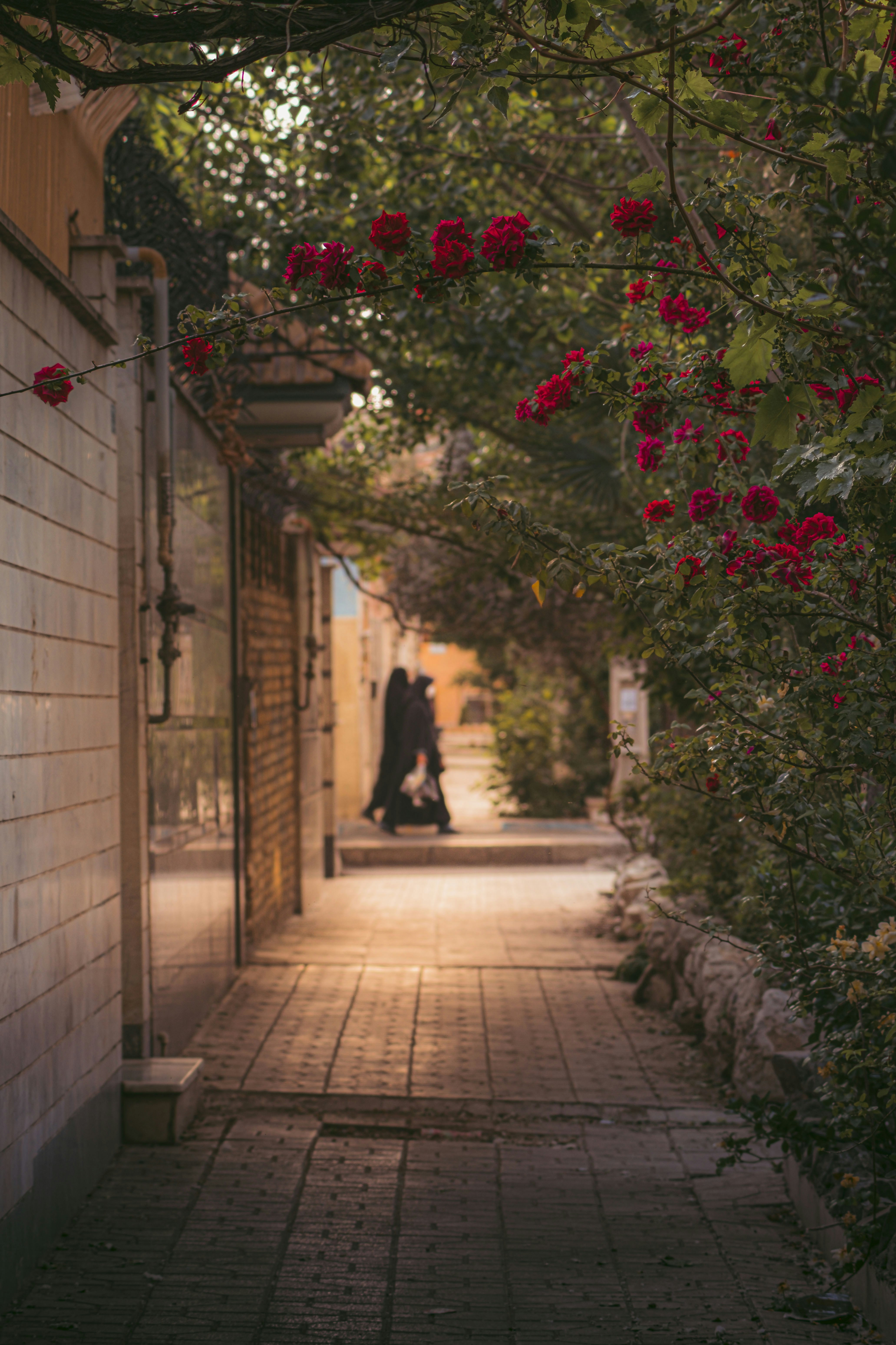 a person walking down a brick walkway between two buildings