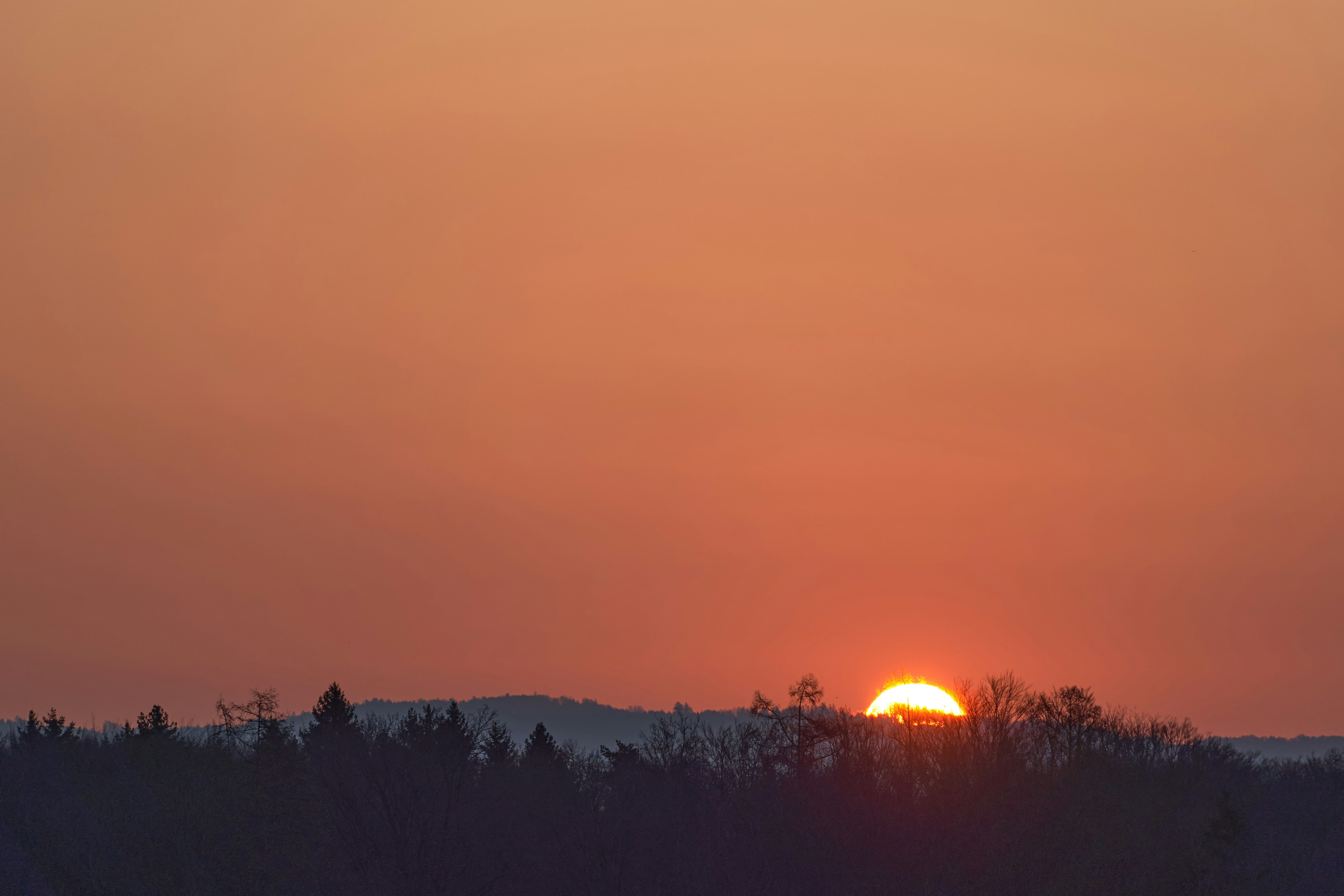 The sun is setting over the trees in the distance photo – Free Sunset ...