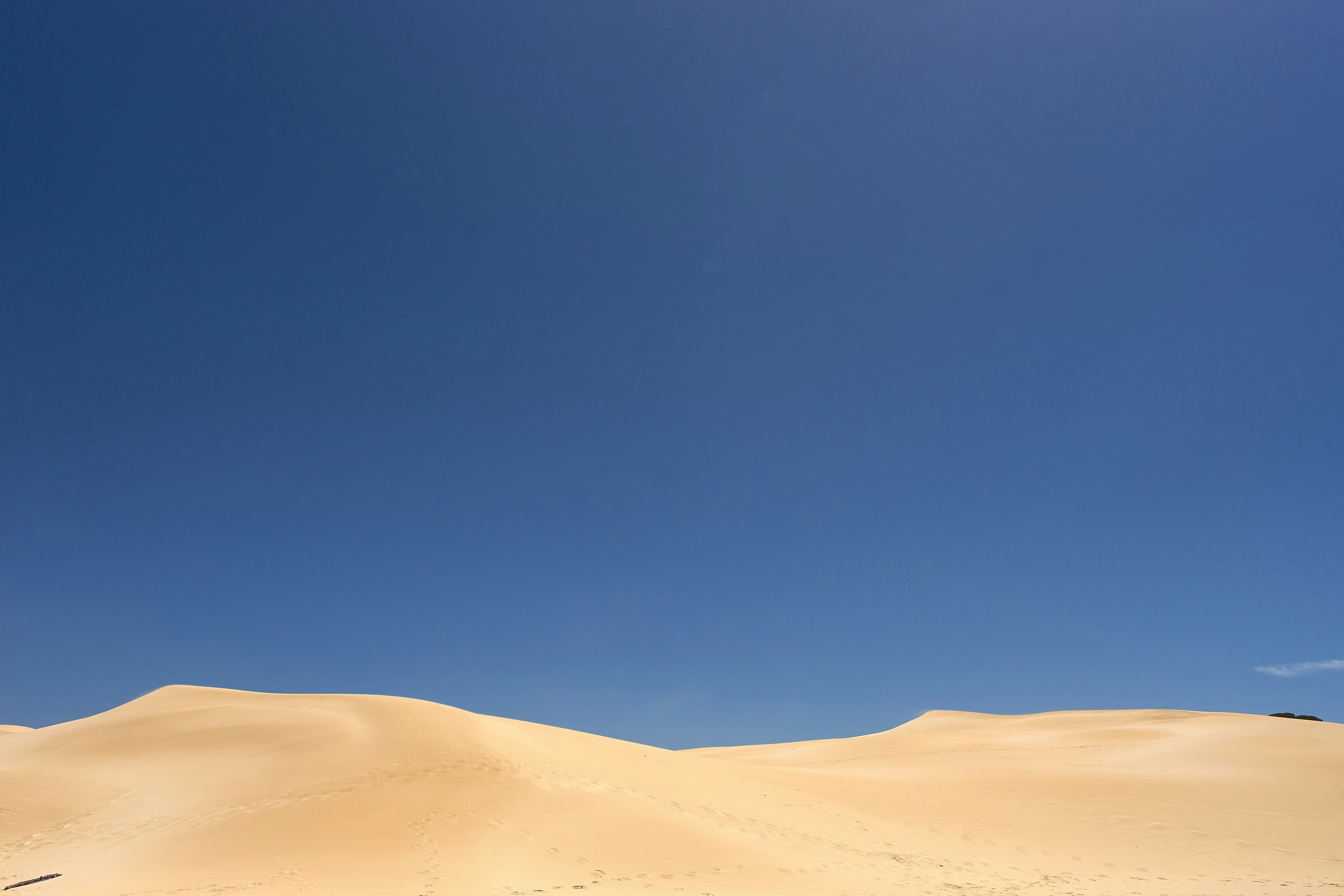 Expansive sand dunes stretch across the landscape under a clear blue sky, showcasing the serene beauty of the desert environment.