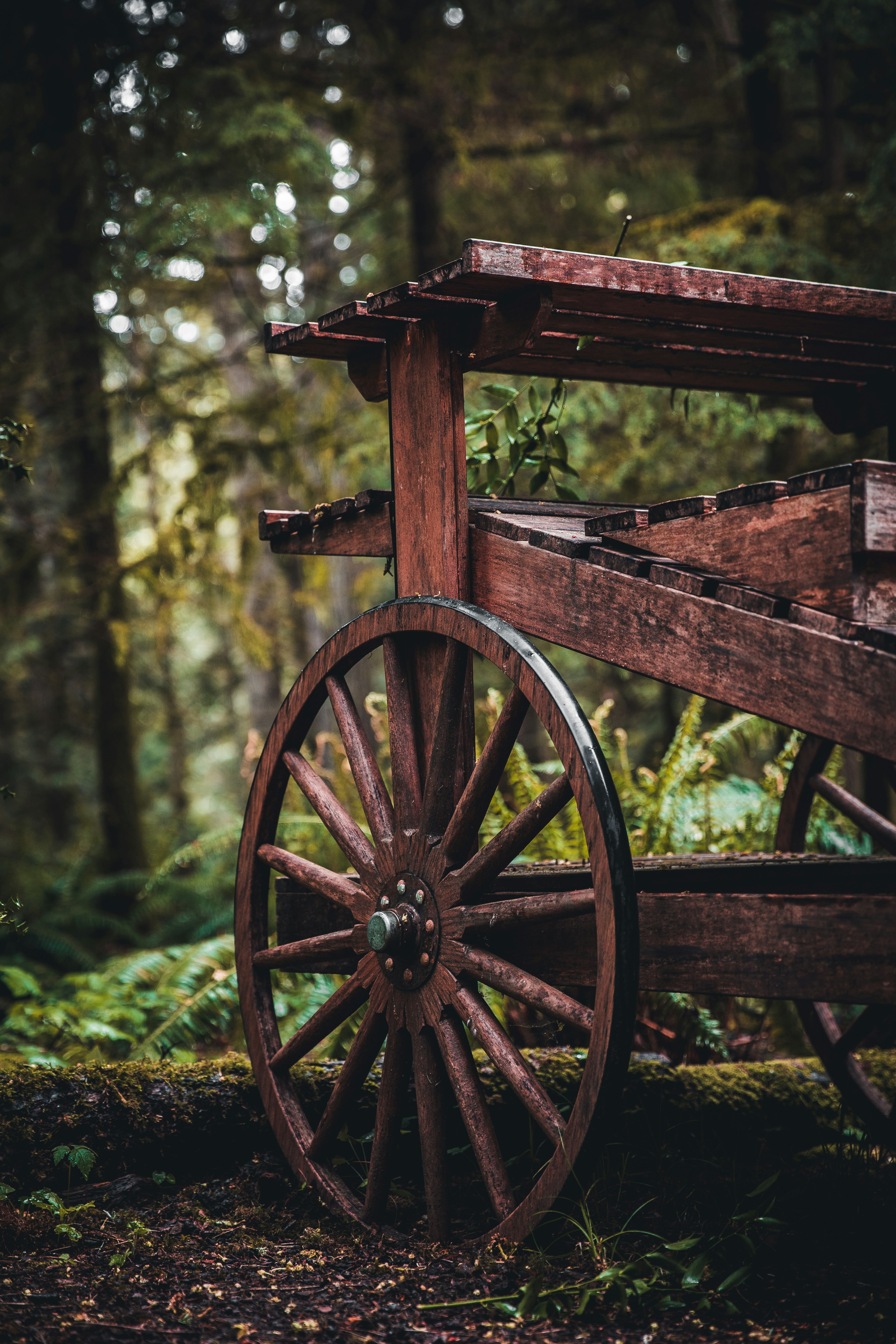 An old wooden wagon sitting in the middle of a forest photo – Free ...