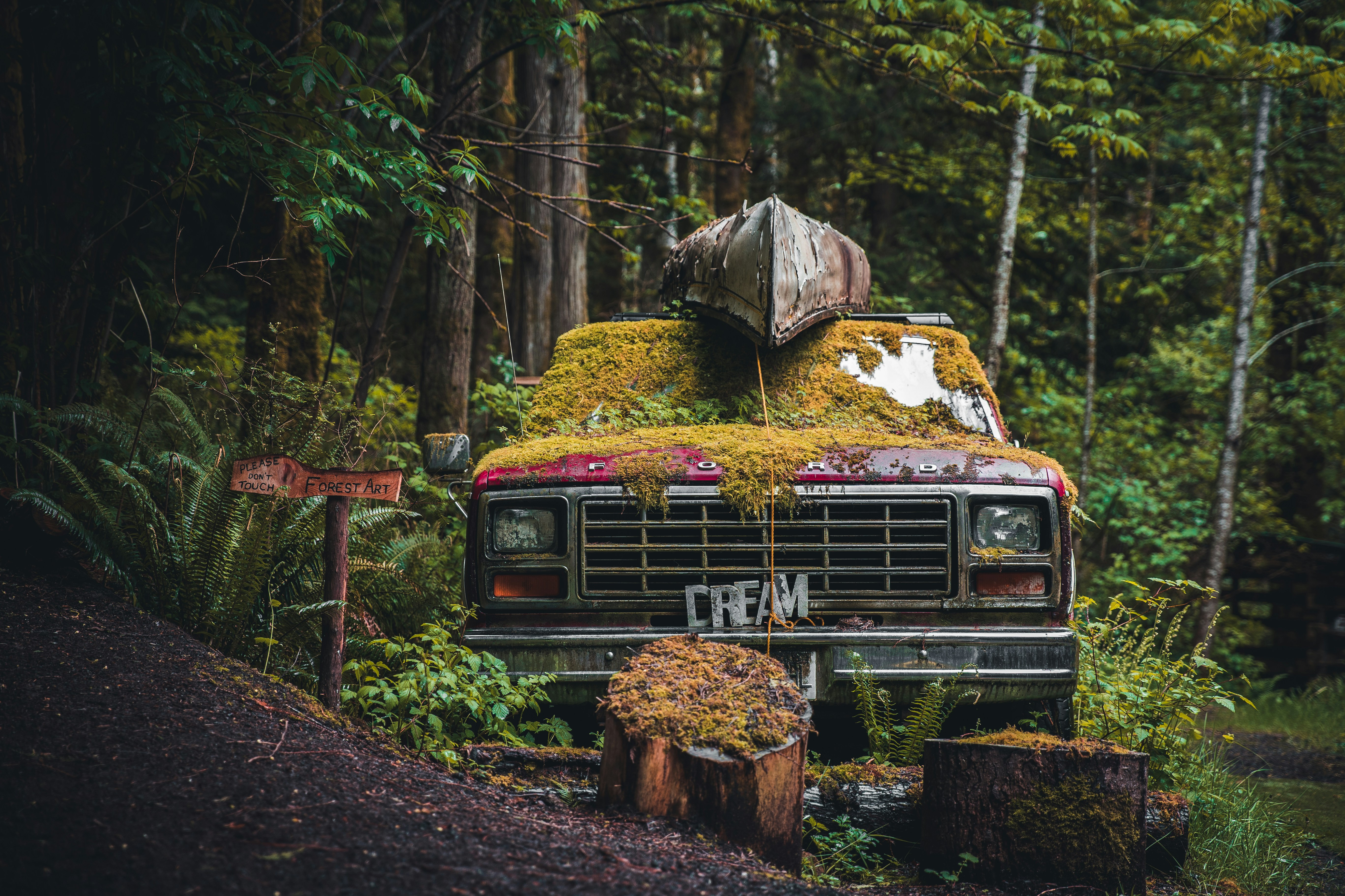 Moss-Capped Sentinel: A mossy vintage truck in a quiet forest
