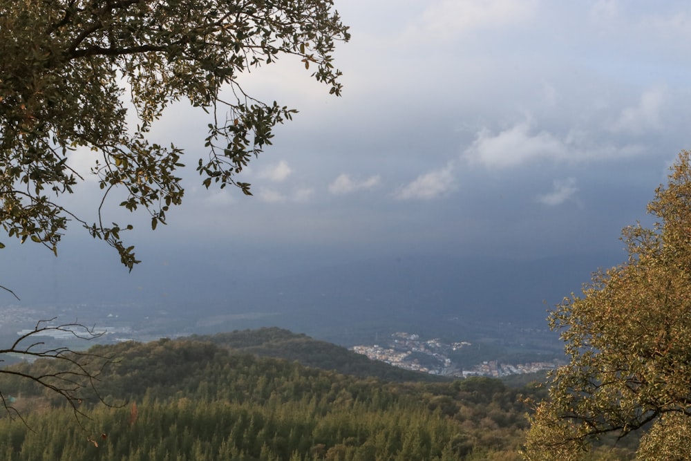 Une vue d’une ville depuis une colline photo – Photo Gris Gratuite sur ... Une vue d’une ville depuis une colline photo – Photo Gris Gratuite sur ...