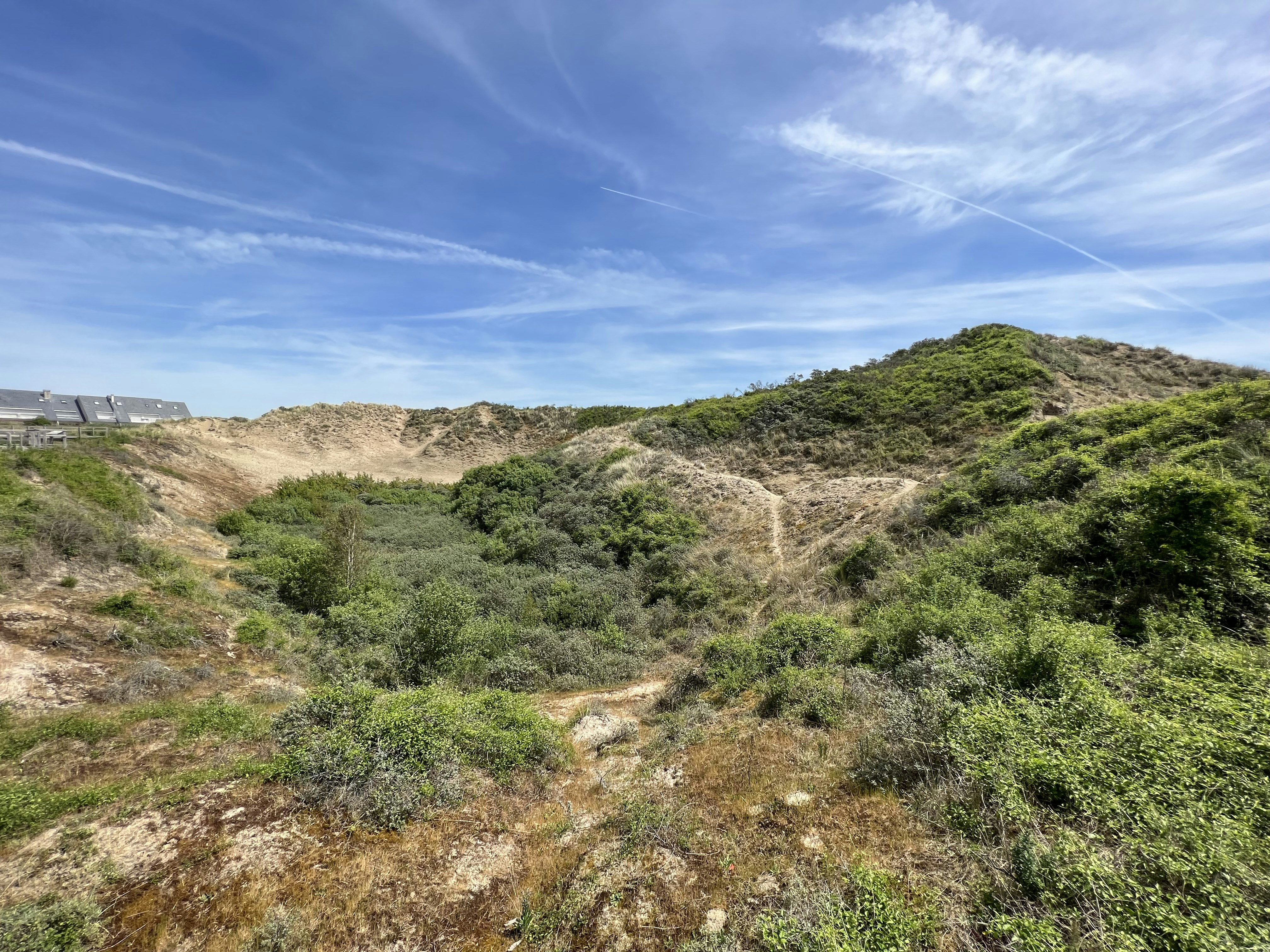 Foto Una vista de una colina con árboles y arbustos – Imagen Francia ...