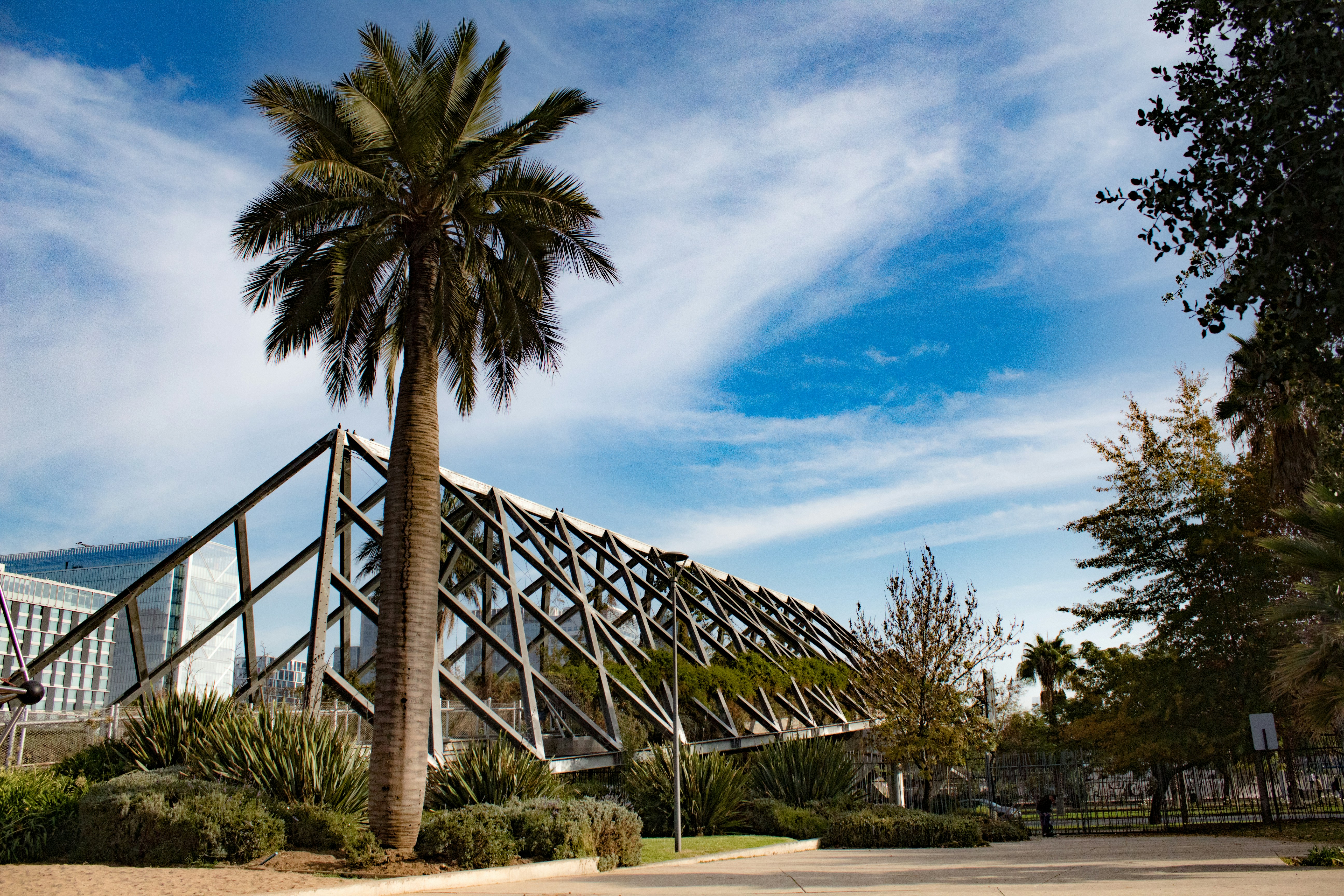 Geometric Glass Canopy with Tall Palm in a Sunlit Courtyard
