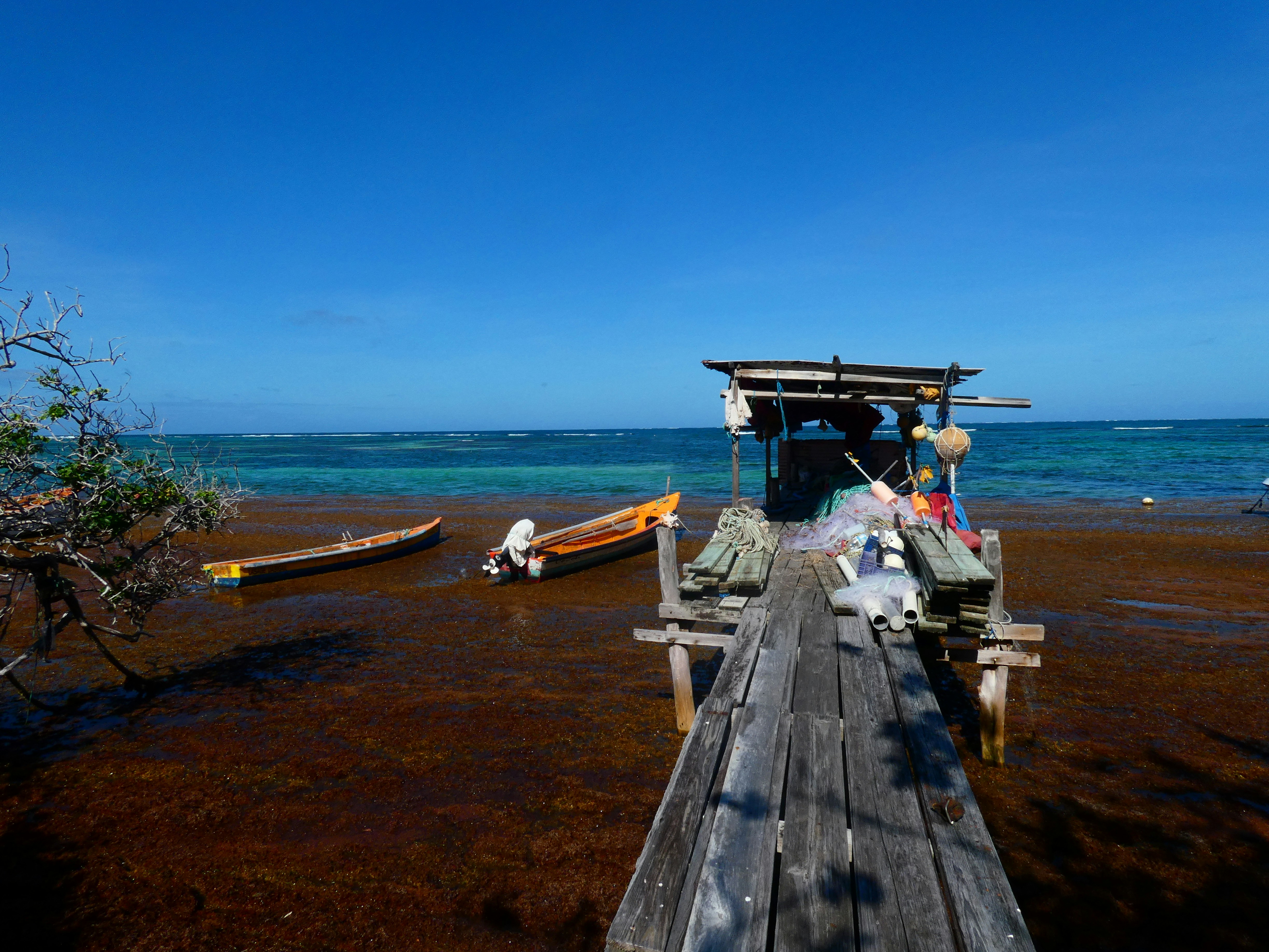 Photograph: a weathered wooden pier extends to a small shelter over a calm blue-green sea, with boats docked along the shore under a clear sky.