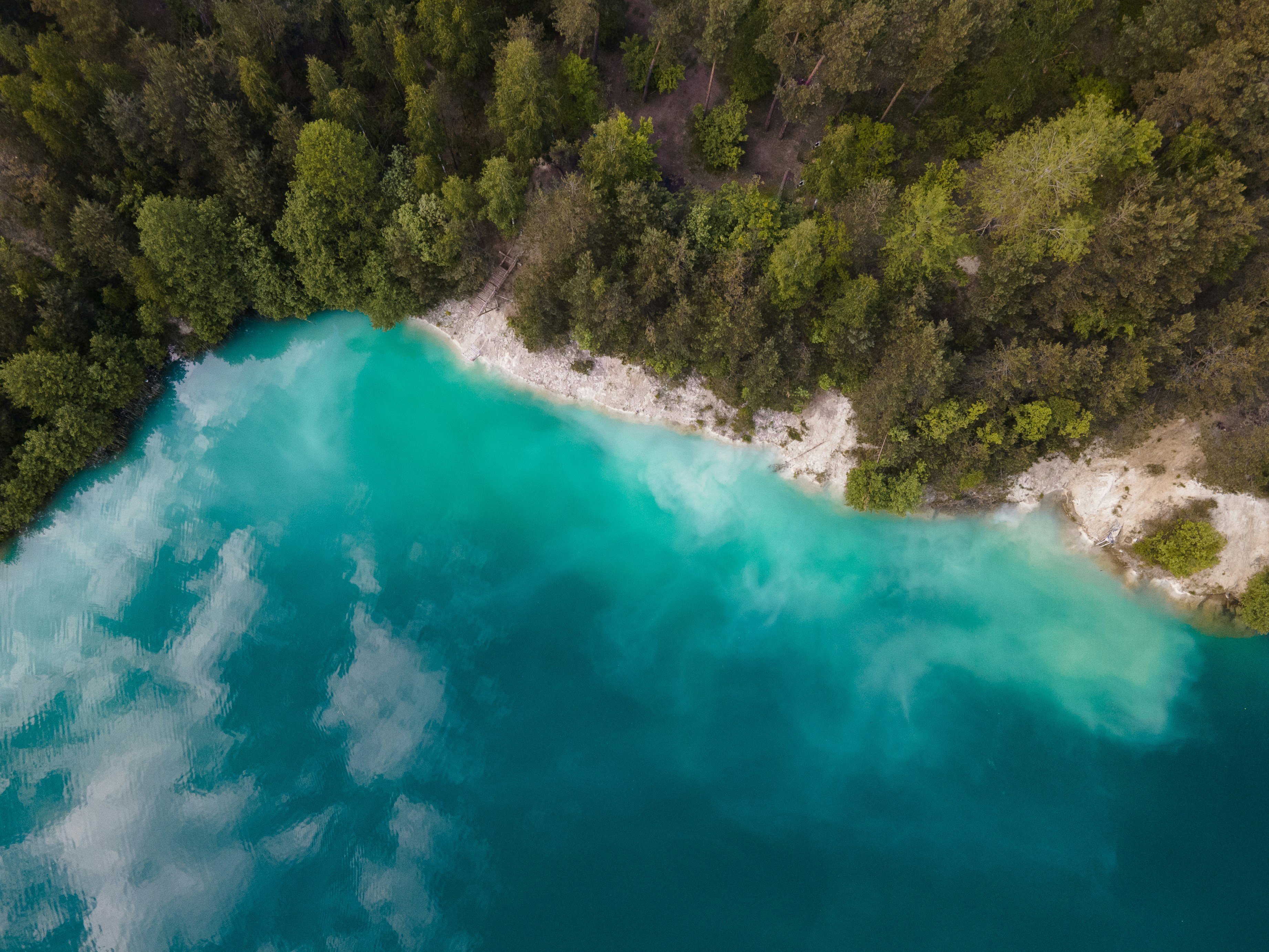 Vibrant turquoise waters meeting a lush green forest, showcasing the harmony of nature. The shoreline reveals a gentle transition from land to water.