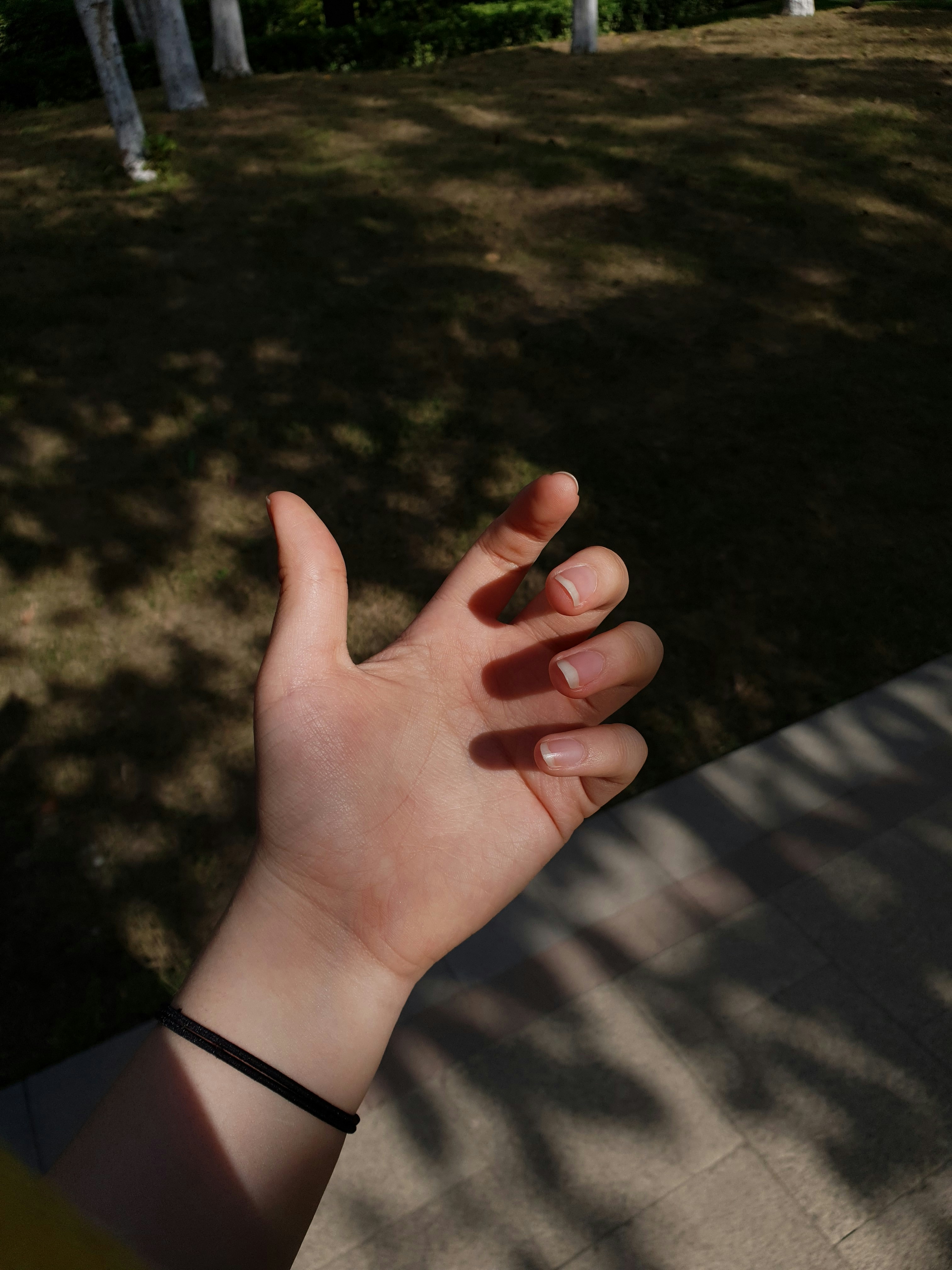 A person holding their hand out in the air photo – Free Hand Image on ...