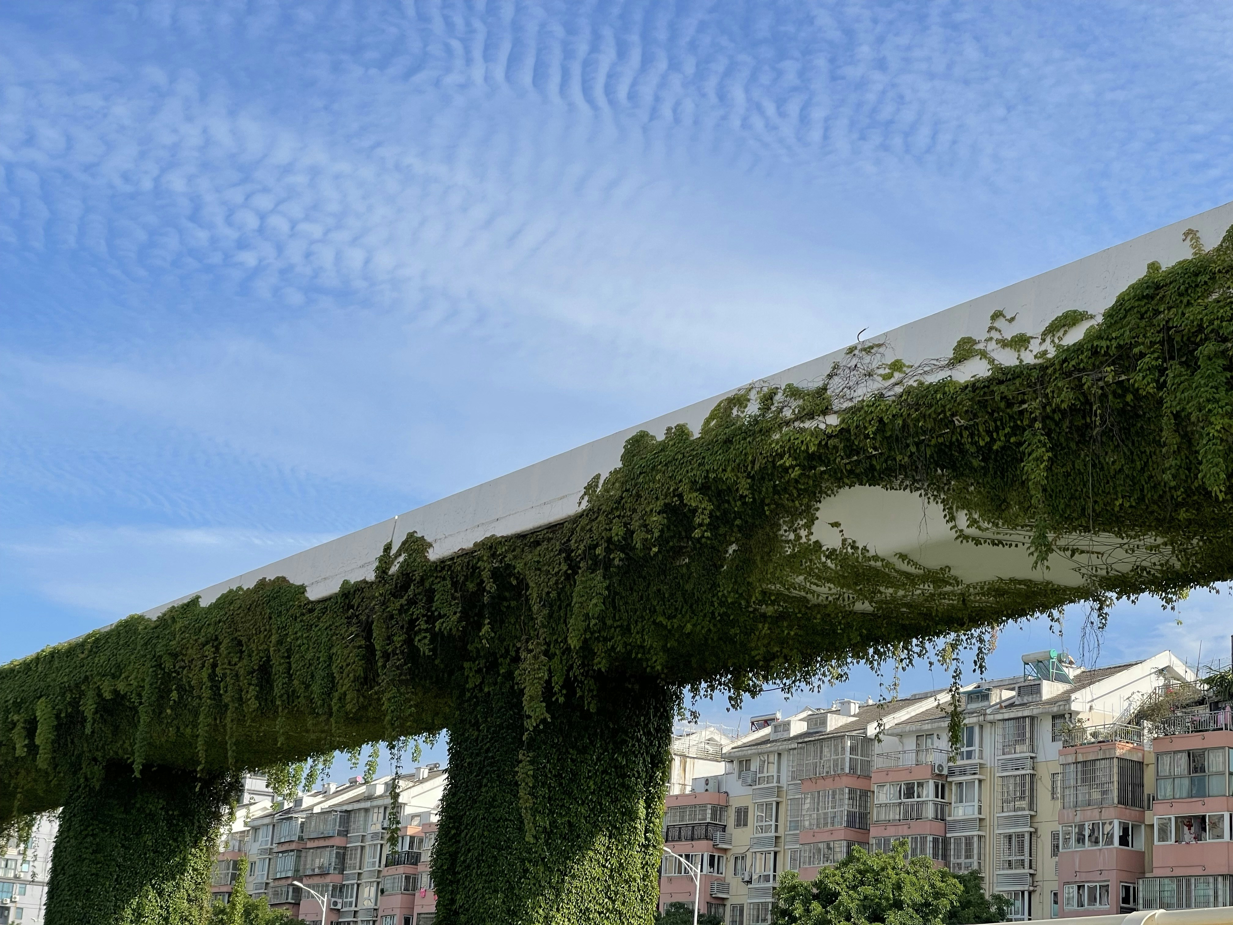 a building with a bunch of plants growing on the side of it