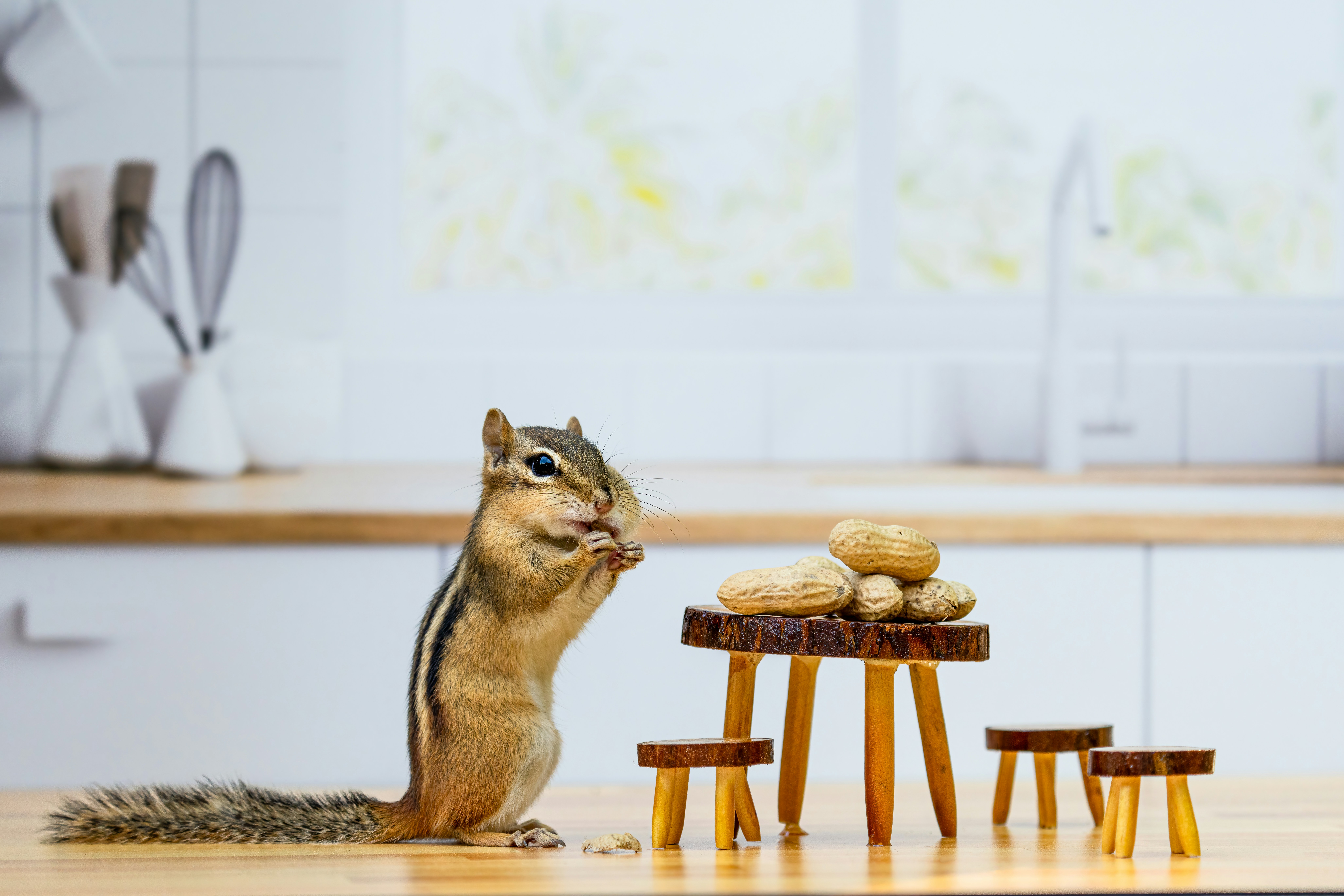 Chipmunk at the Stack: Tiny Gourmet Chef in a Modern Kitchen