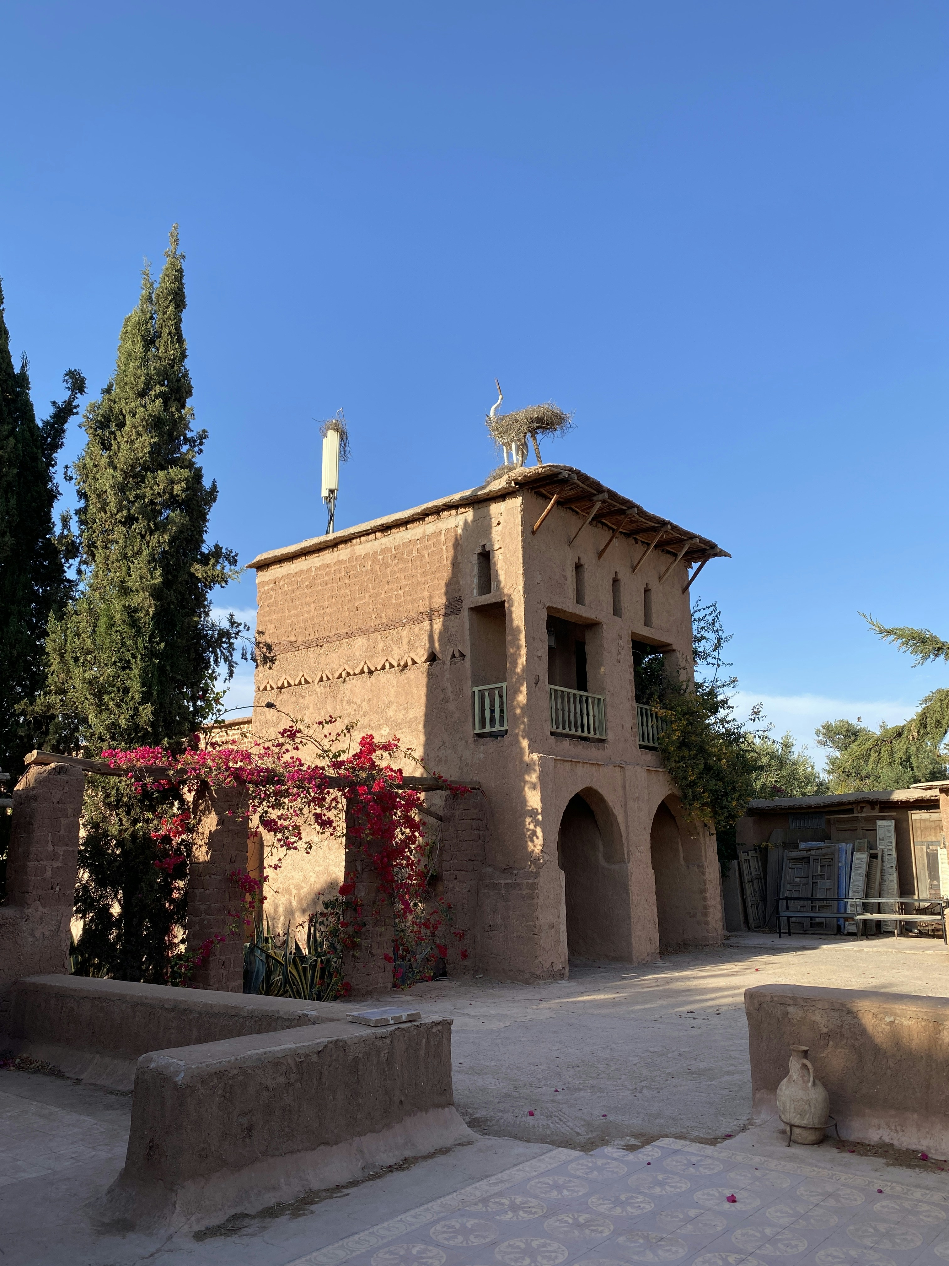 Rooftop Sentinel Over a Sunlit Adobe Courtyard
