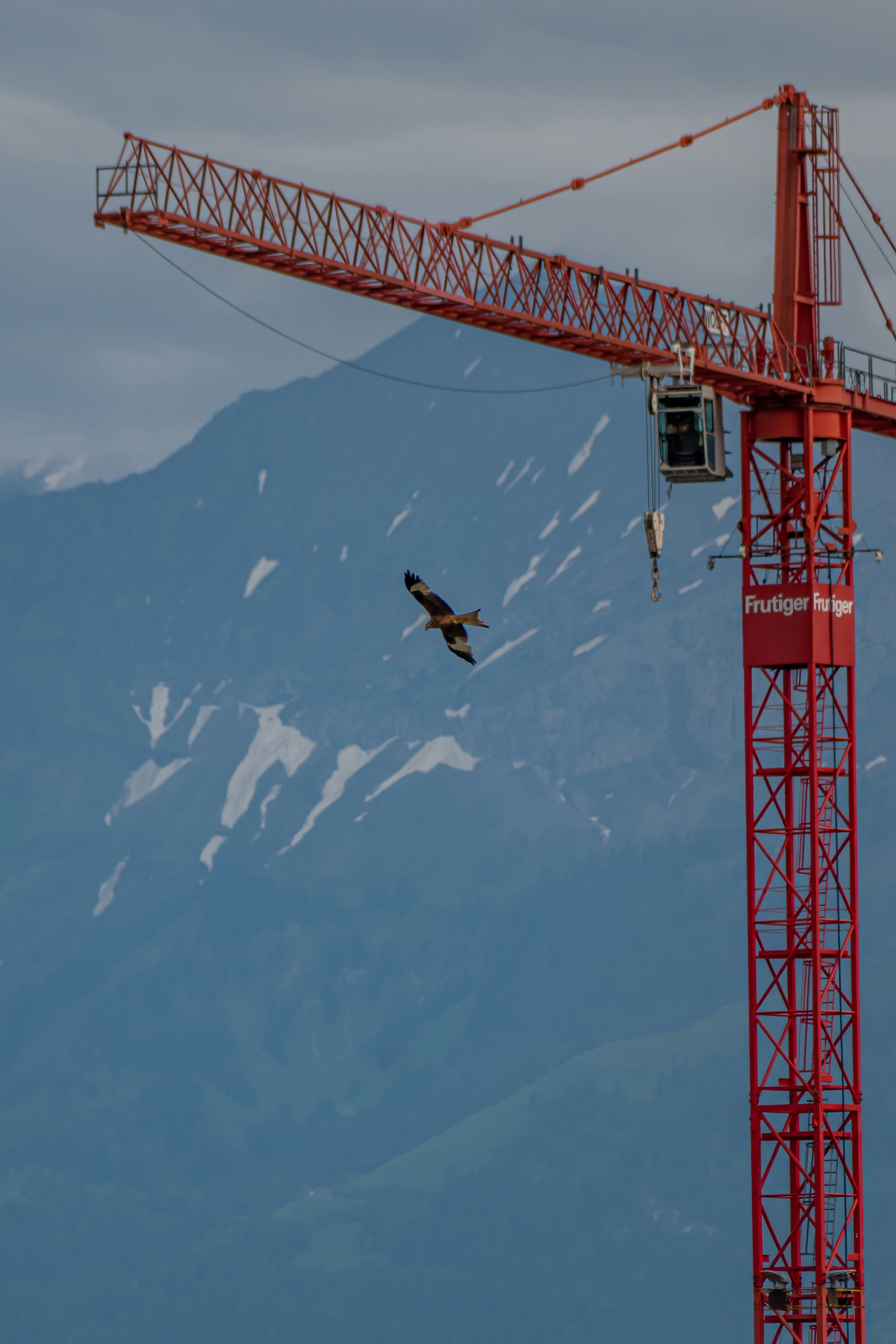 Crane Over the Alps: A lone bird rides the wind past a scarlet tower.