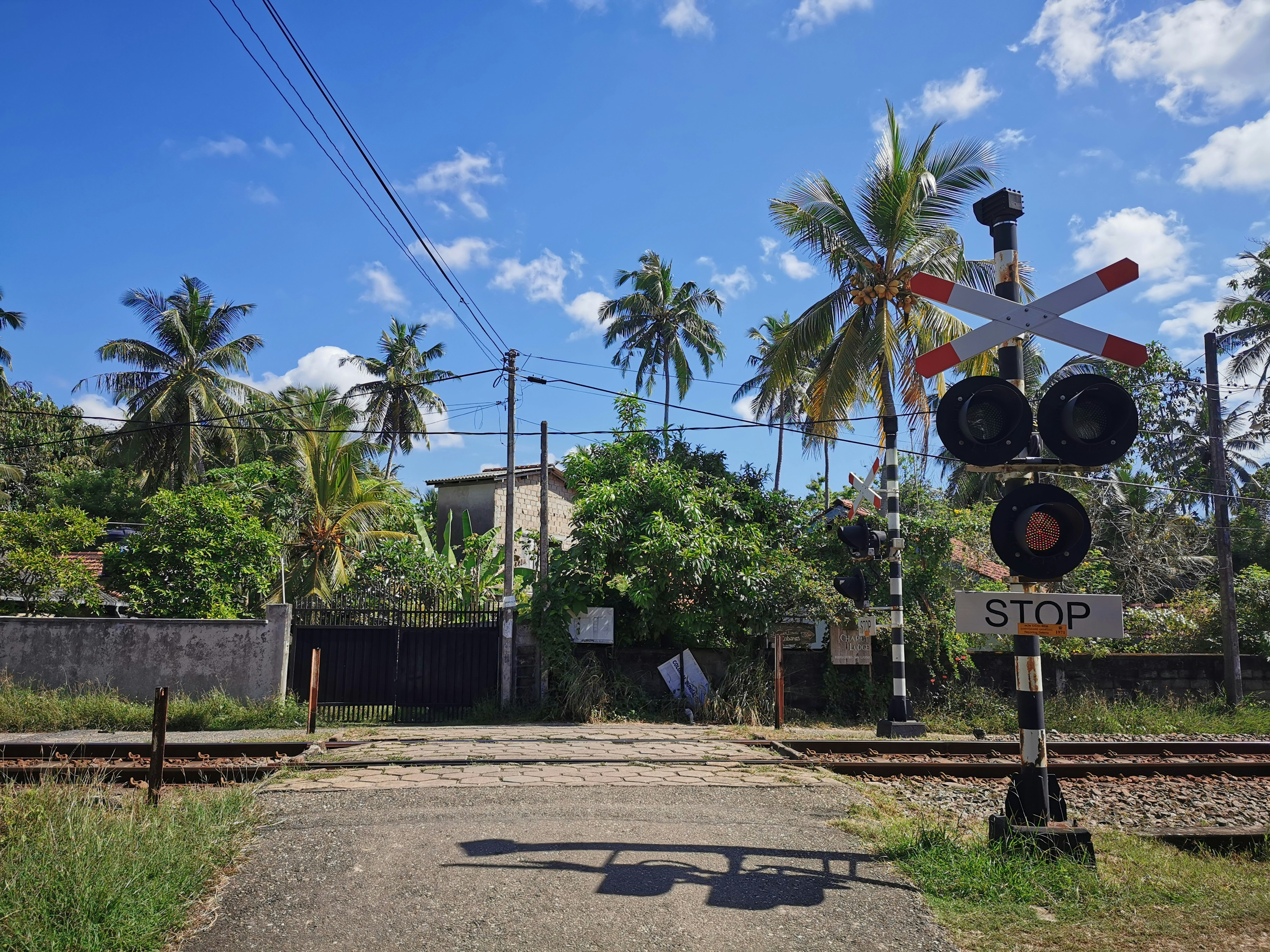 Photo by Ilia with Huawei P30 Pro