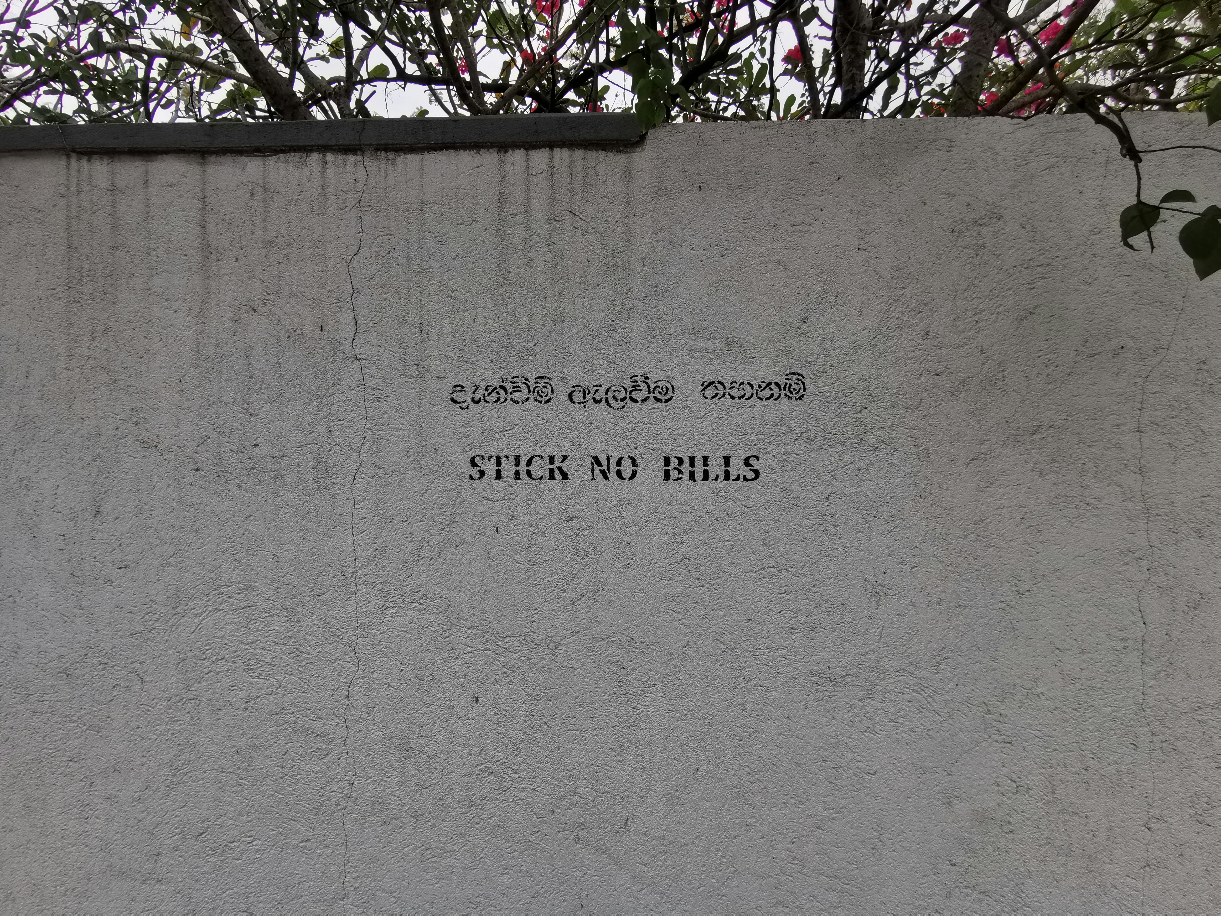 A cement wall with writing on it photo – Free Wall Image on Unsplash