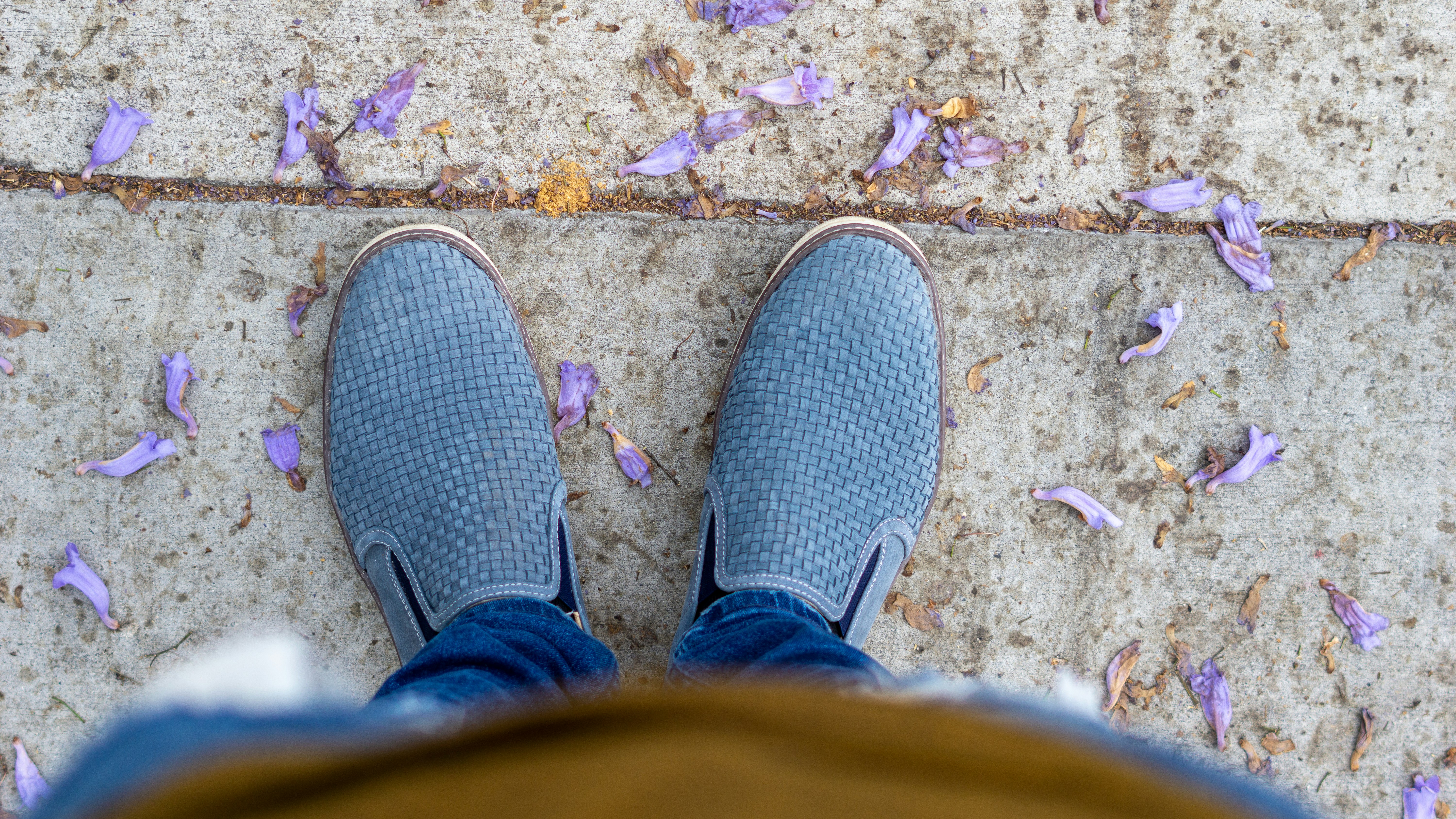 Blue Slip-Ons on a Petal-Peppered Sidewalk