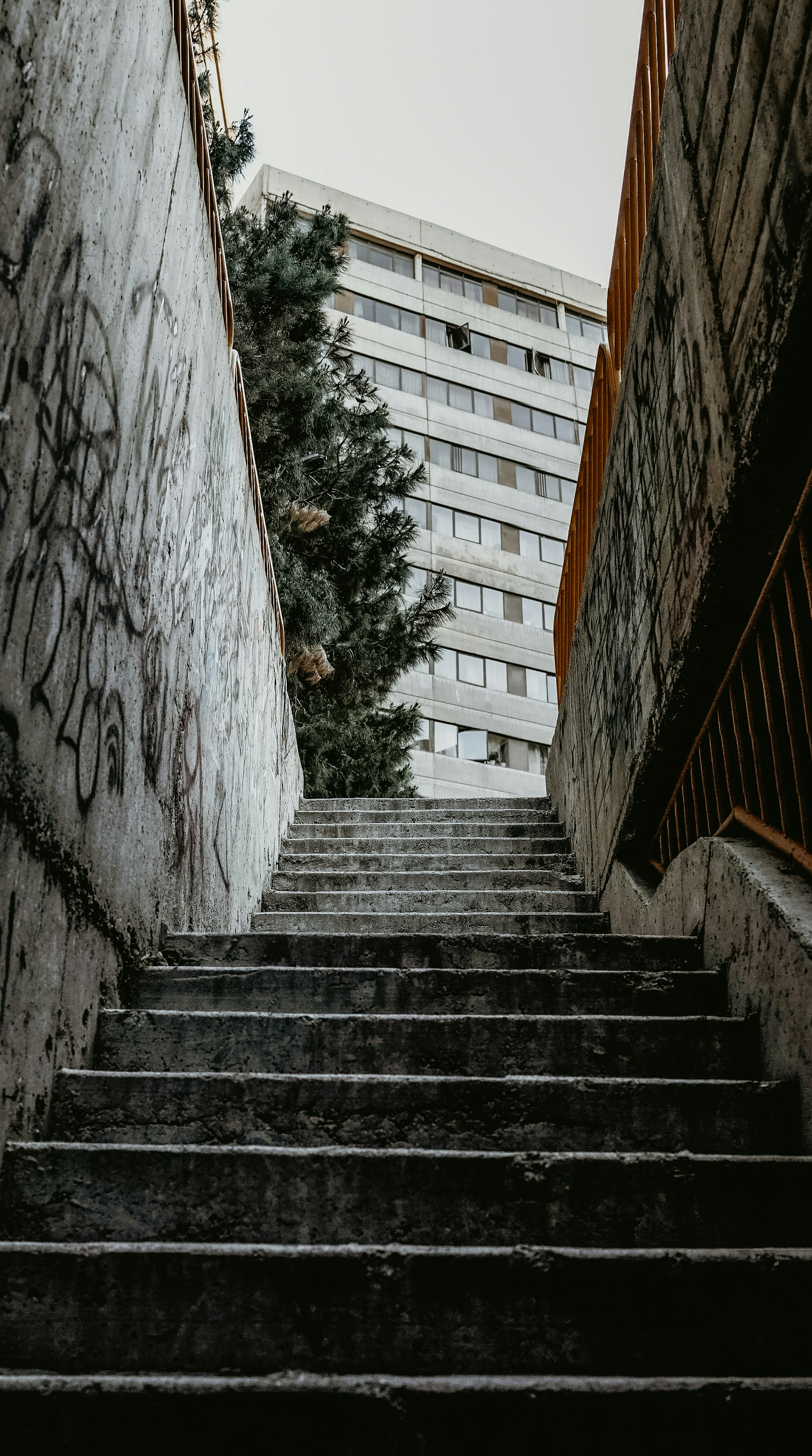 A set of stairs leading up to a building photo – Free Grey Image on ...