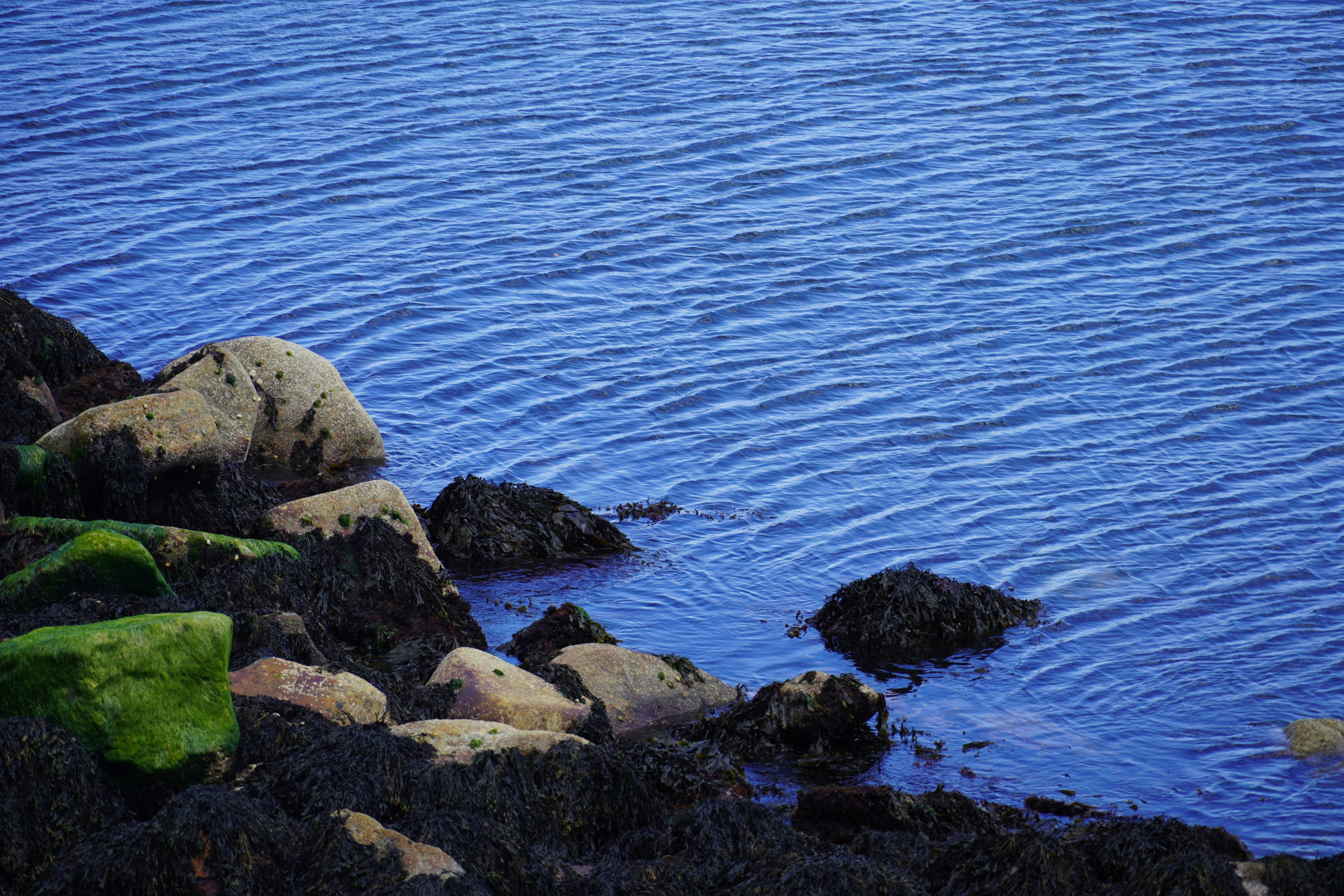 A large body of water surrounded by rocks photo – Free Blue Image on ...