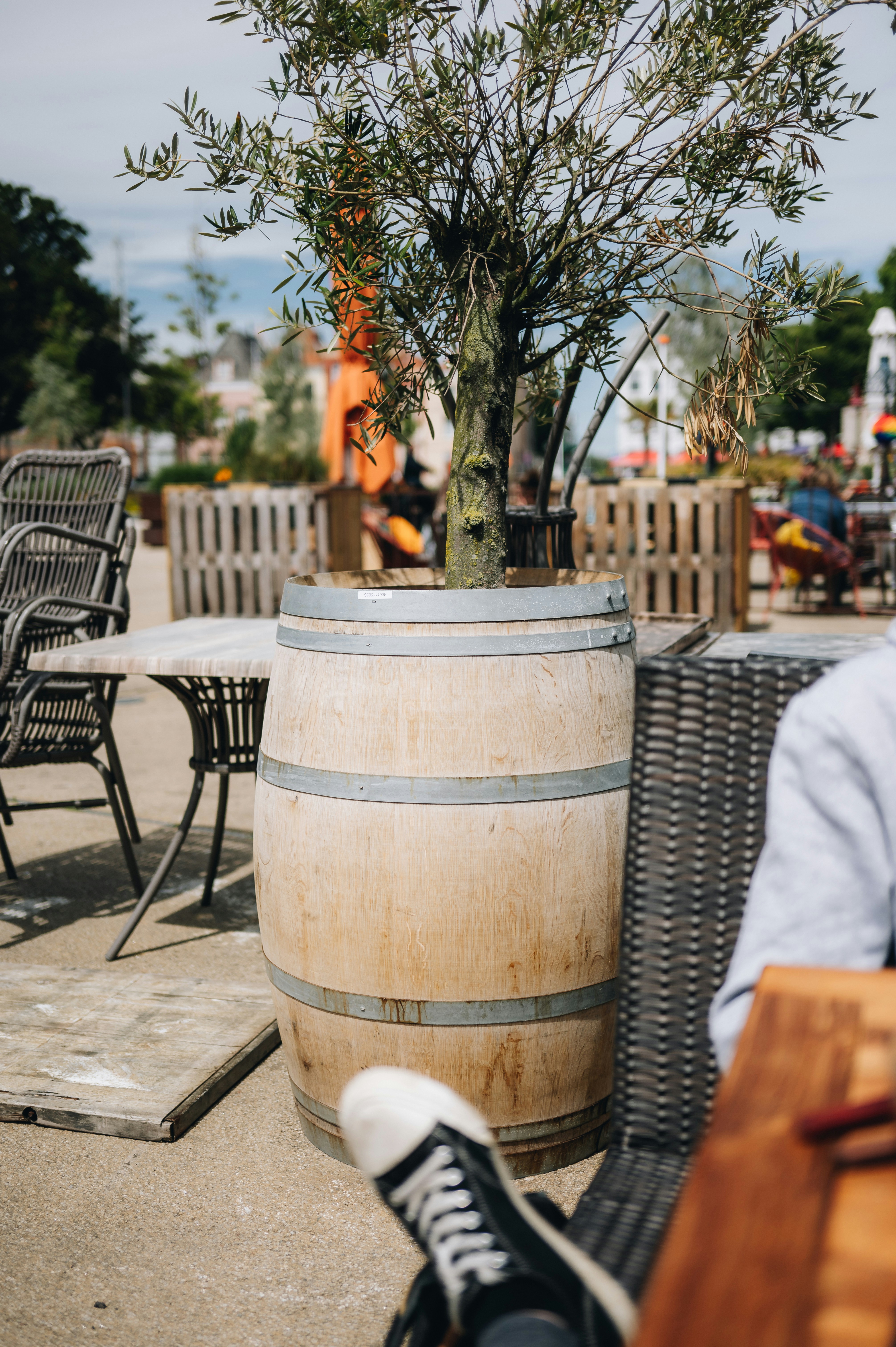 Olive in a Barrel: Quiet Café Arbor Amid Outdoor Seating