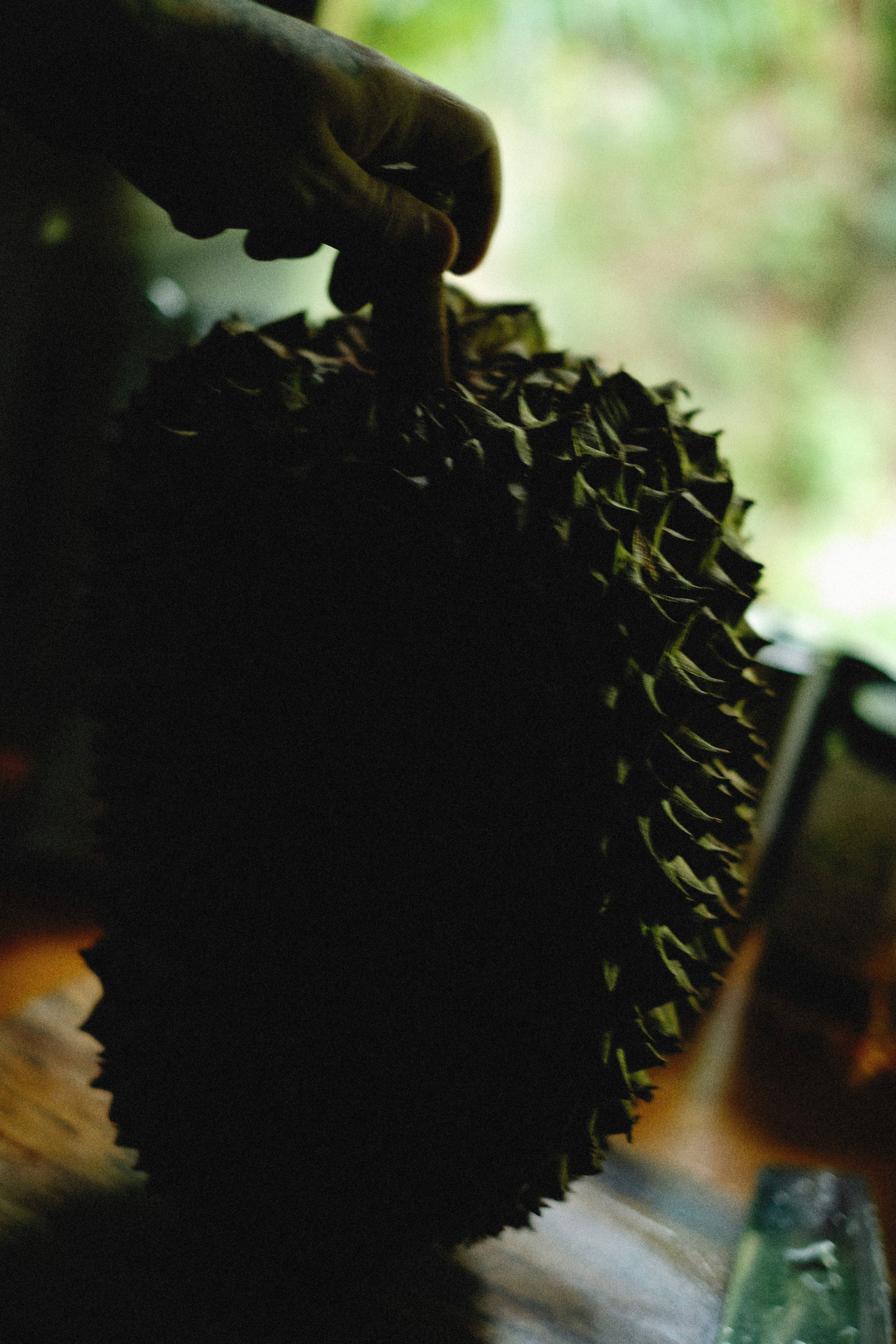 Edges in the Dark: A Hand Grips a Spiky Durian