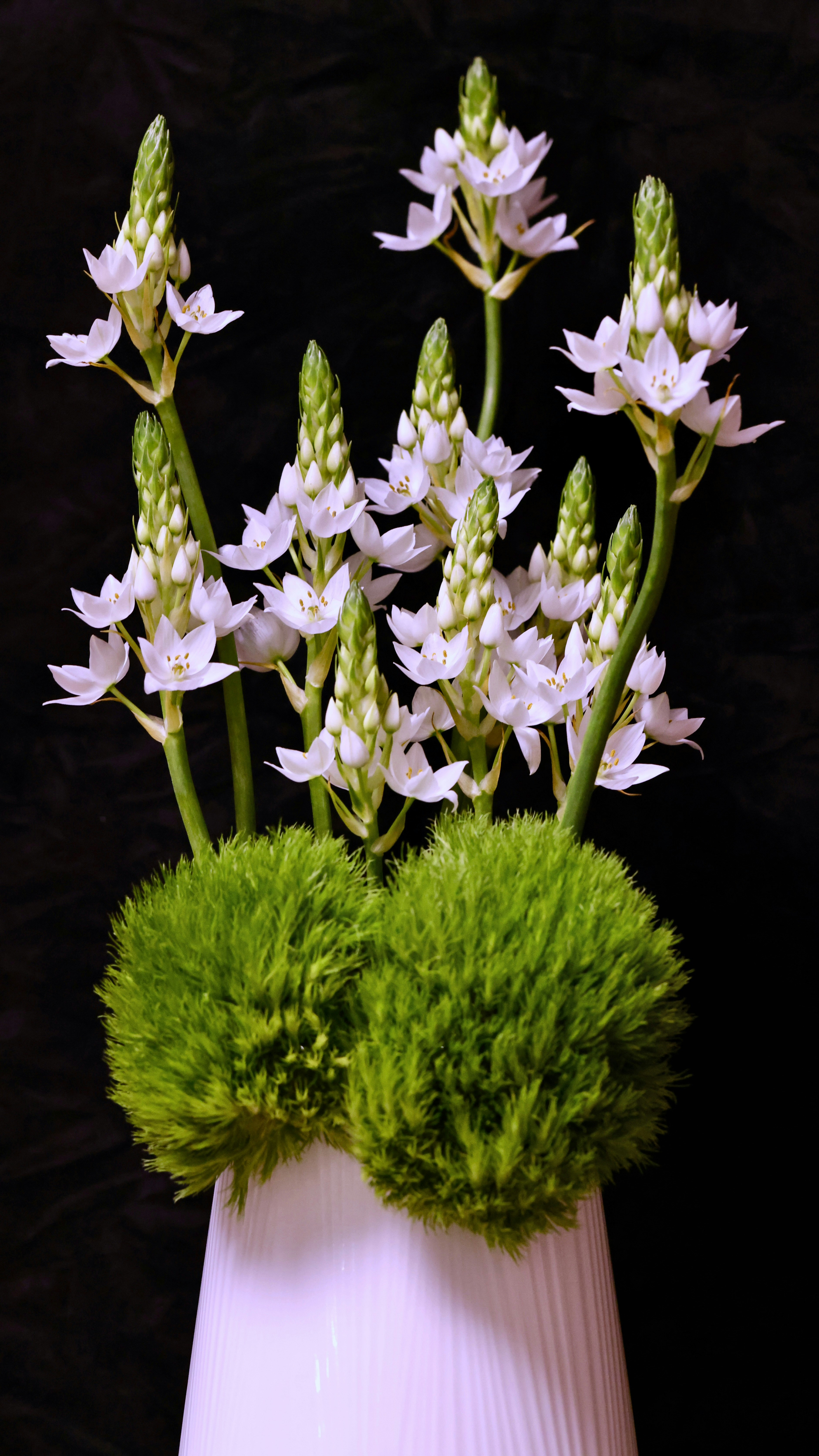 Vivid White Lily Spikes over Green Velvet Foliage in a Minimalist Vase
