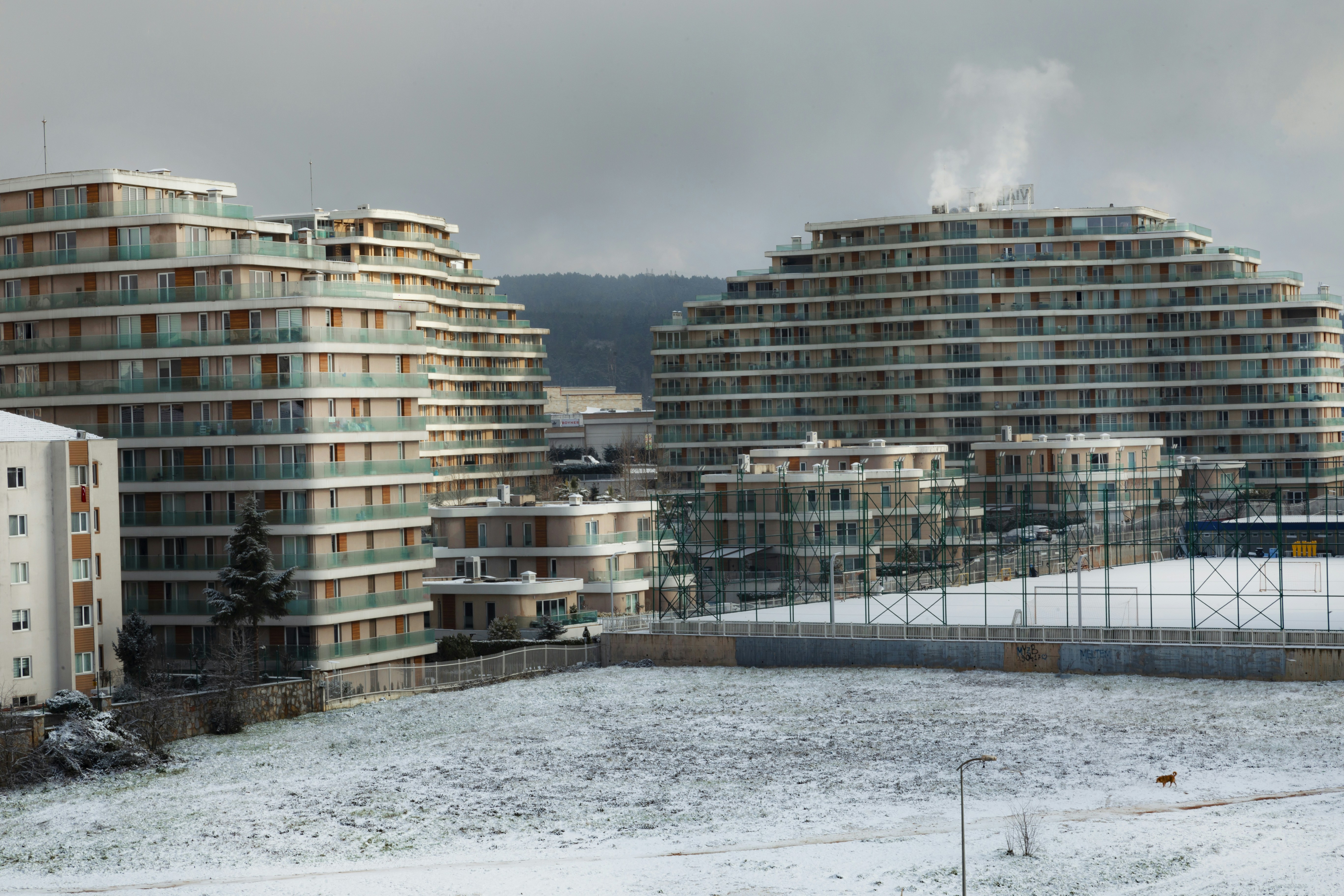 Curved Towers in Winter Light: Snow-Covered Geometry of a Modern Complex
