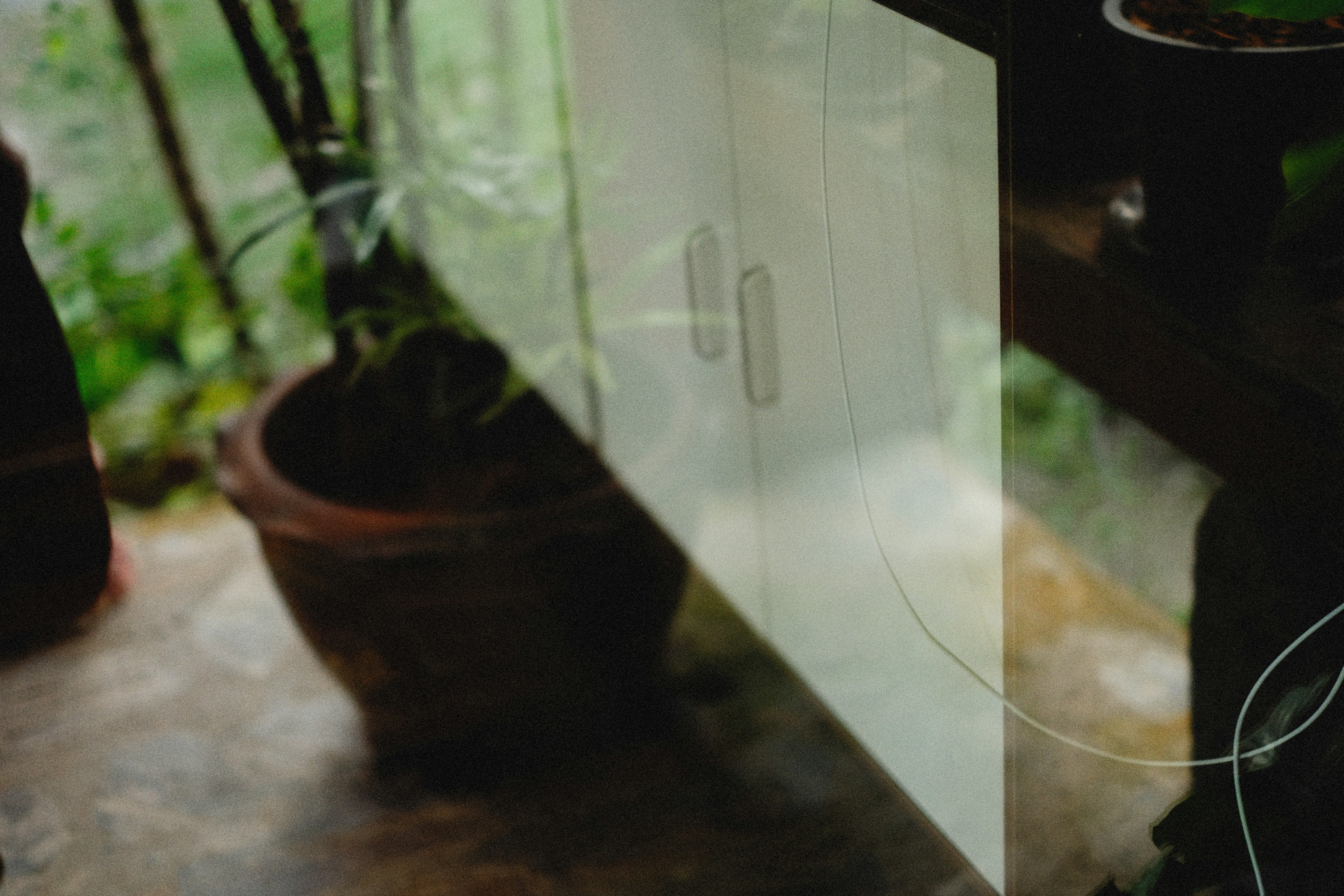 Glass Door Echoes: A Quiet Indoor-Outdoor Moment Through Transparent Barriers