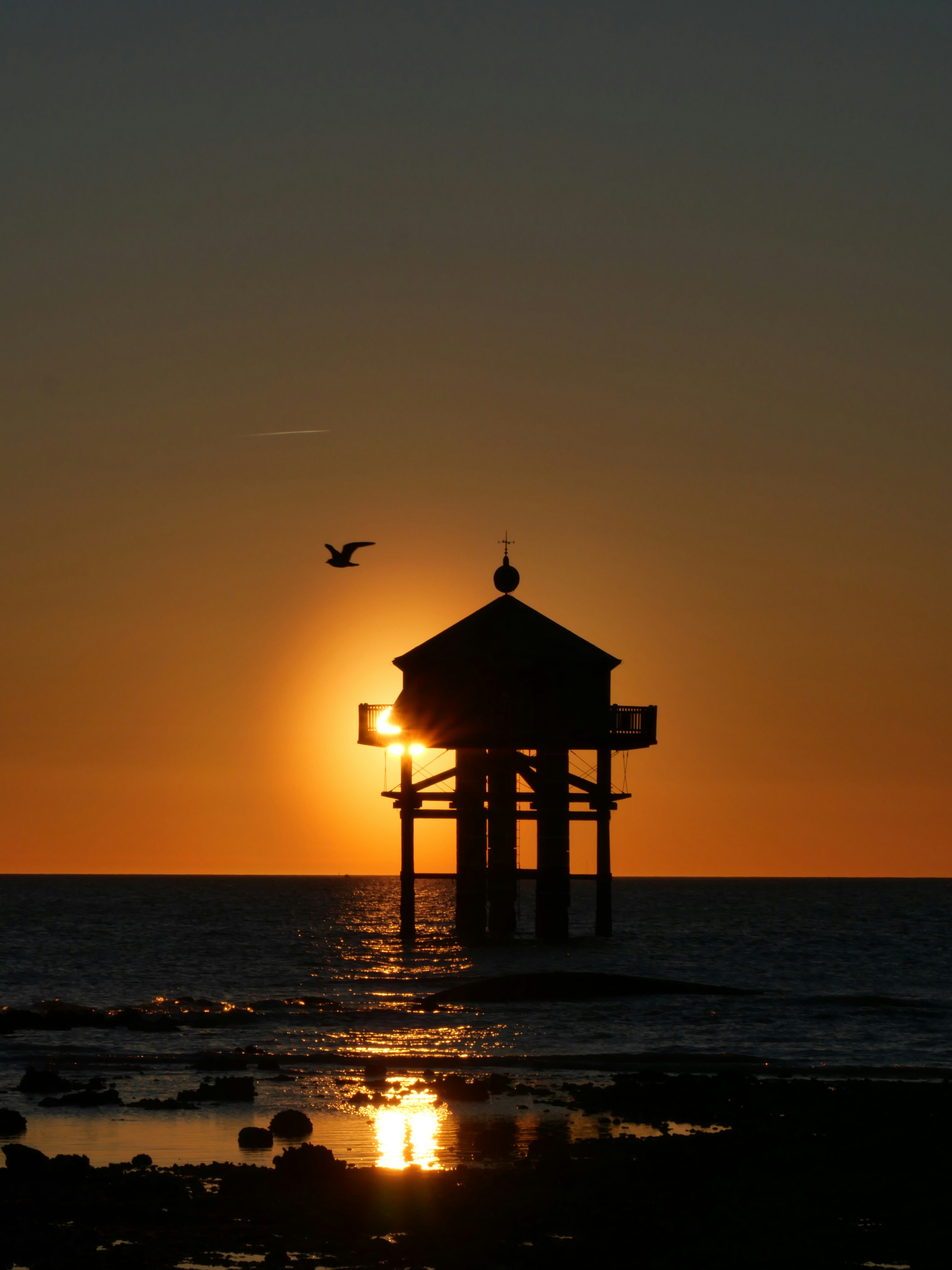 Silhouette of a pier against a vibrant sunset, with a bird soaring above the horizon. Reflections shimmer on the water's surface.