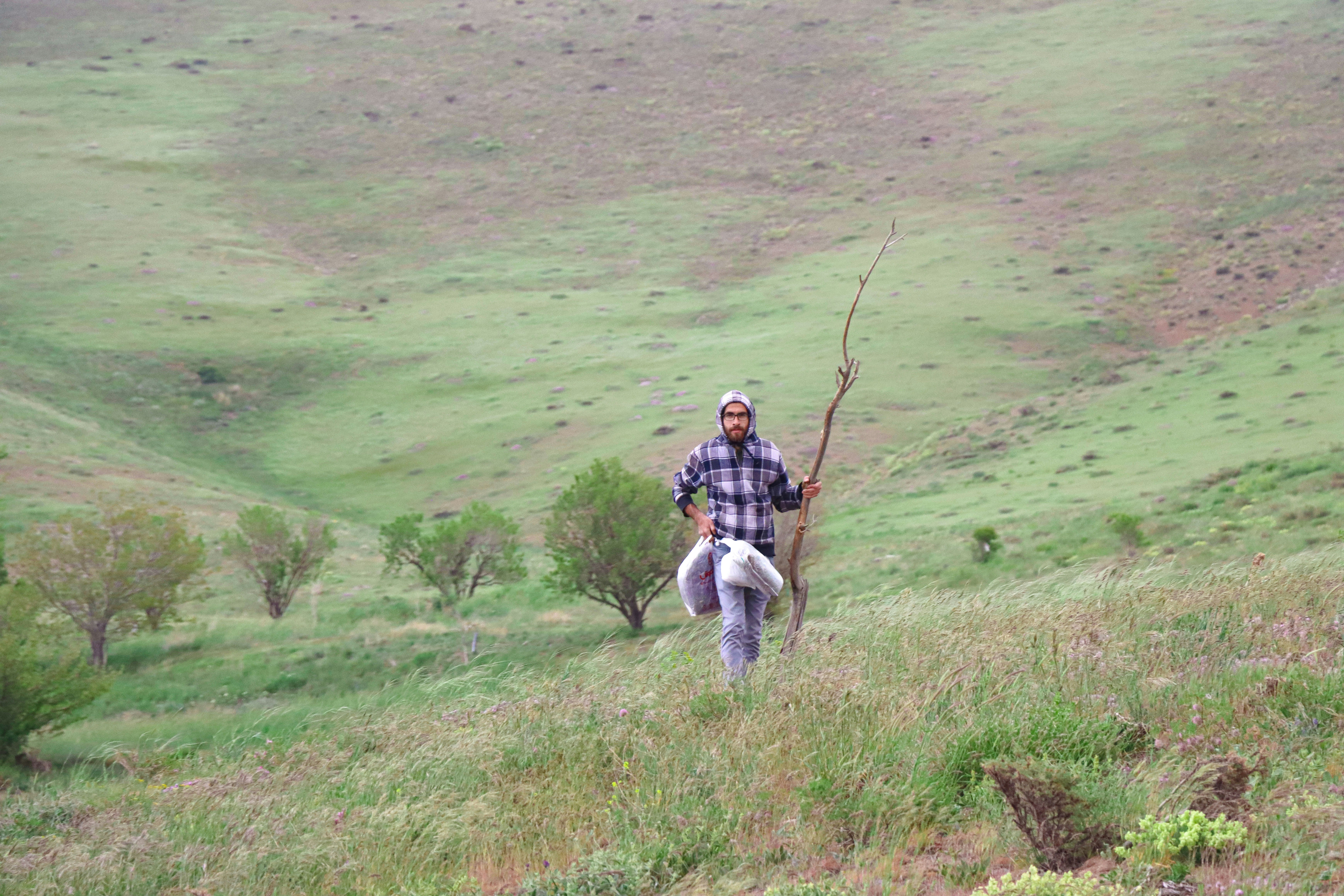 Un homme marchant dans un champ verdoyant photo – Photo Province de ...