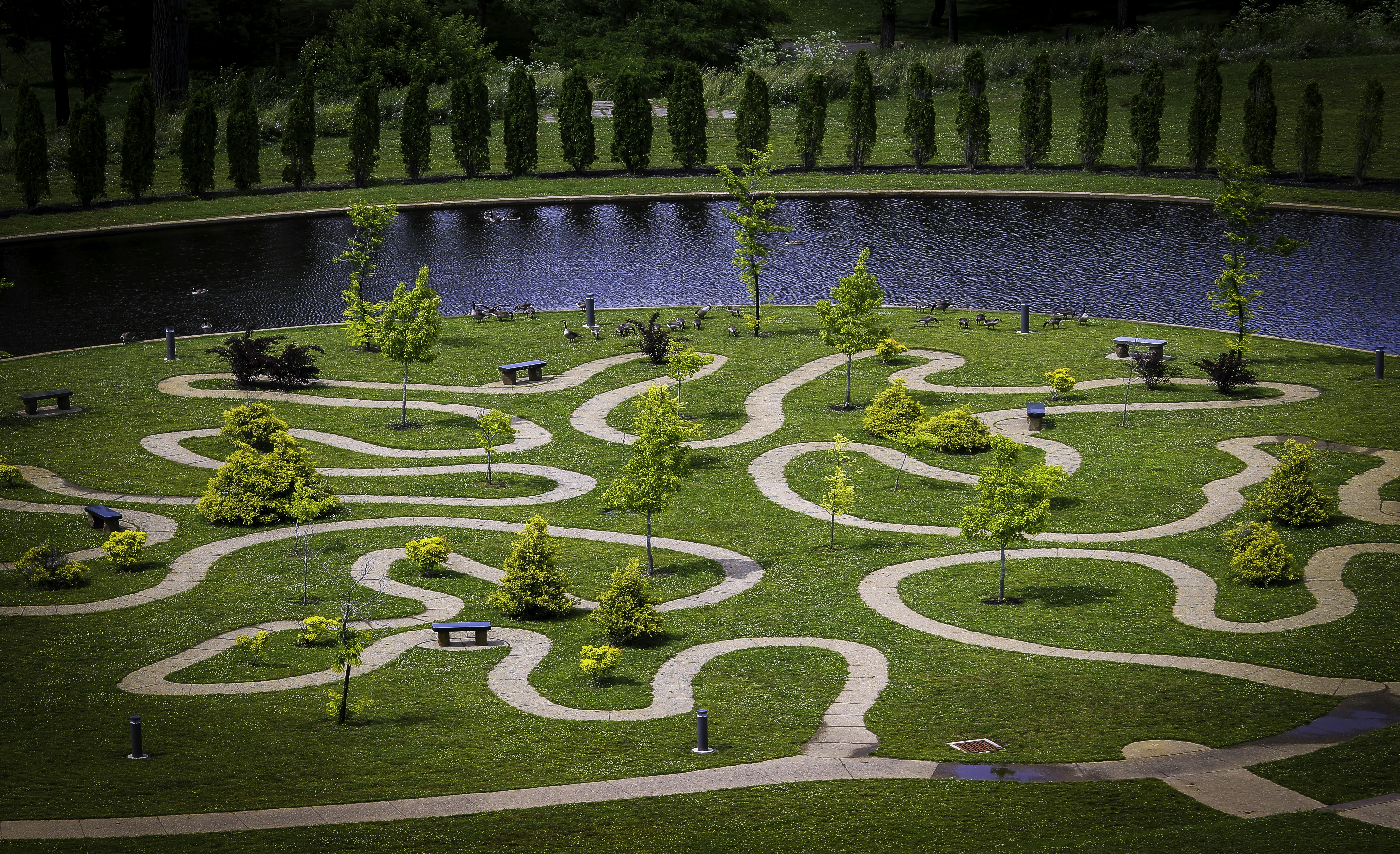 Foto Una vista aérea de un parque con un río y árboles – Imagen Parque ...