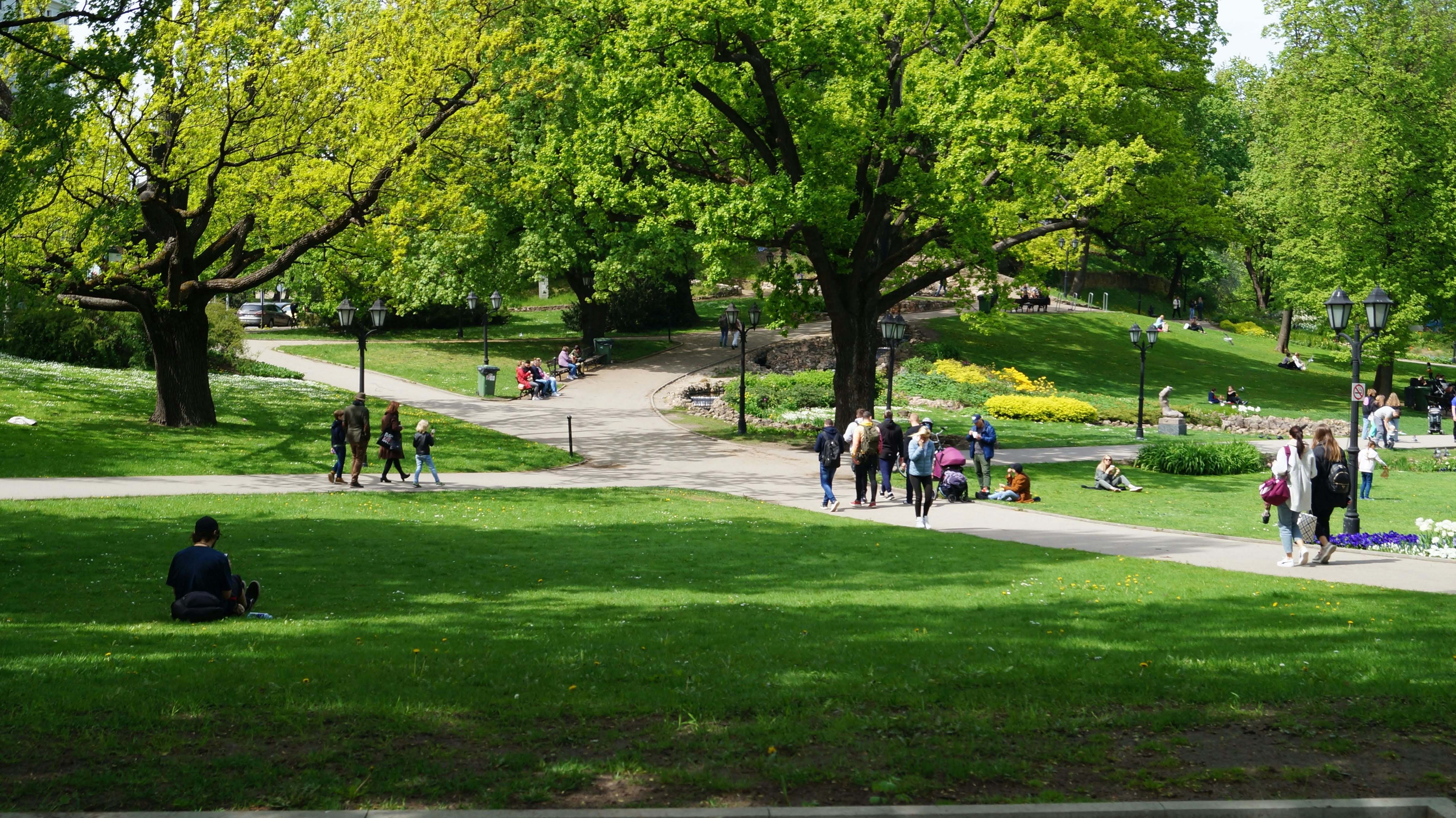 People enjoying a sunny day in a park, with pathways winding through lush greenery and vibrant flowerbeds. The scene captures the essence of community and relaxation.