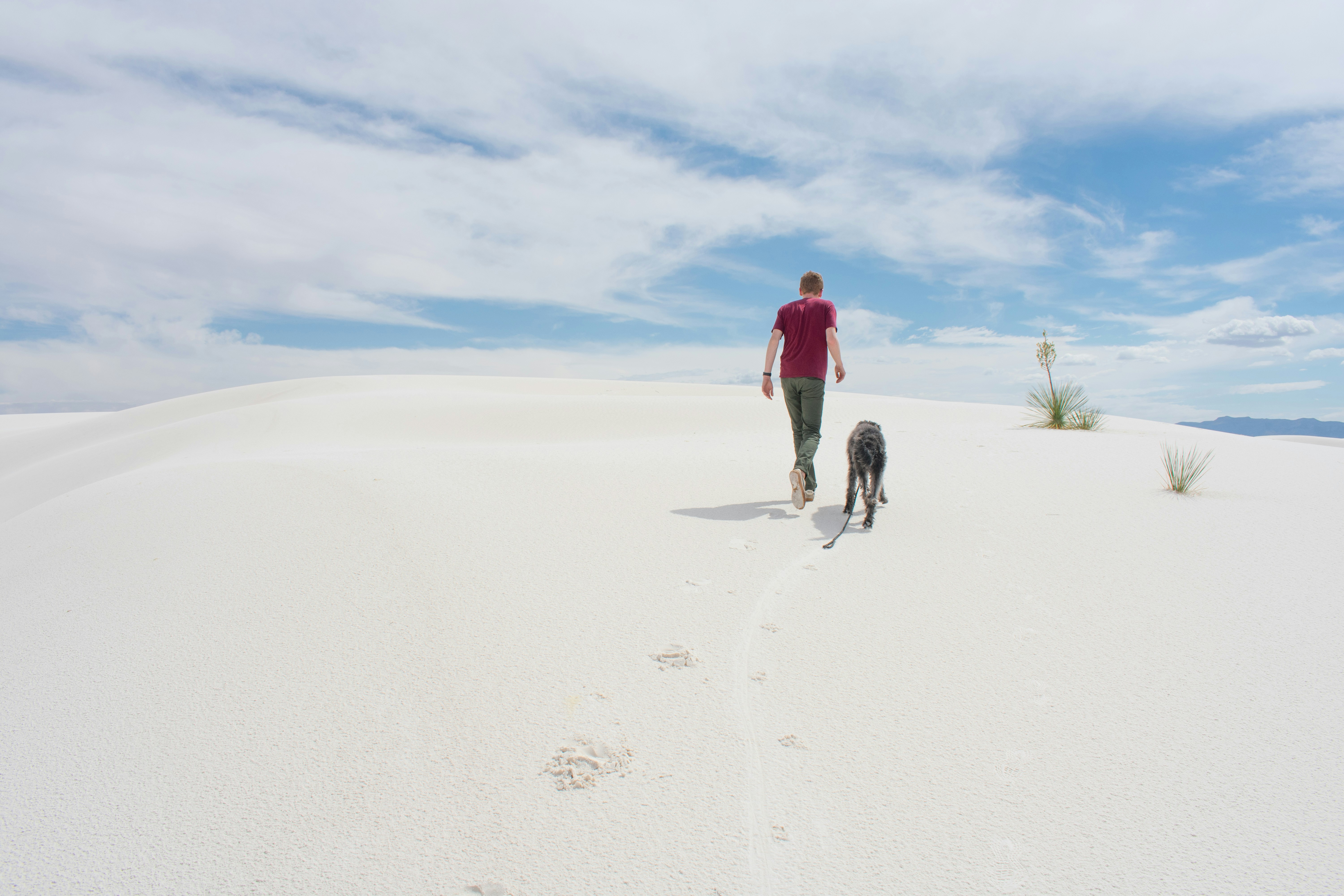 Trail Across the White Dunes: A Man and His Dog in Quiet Light