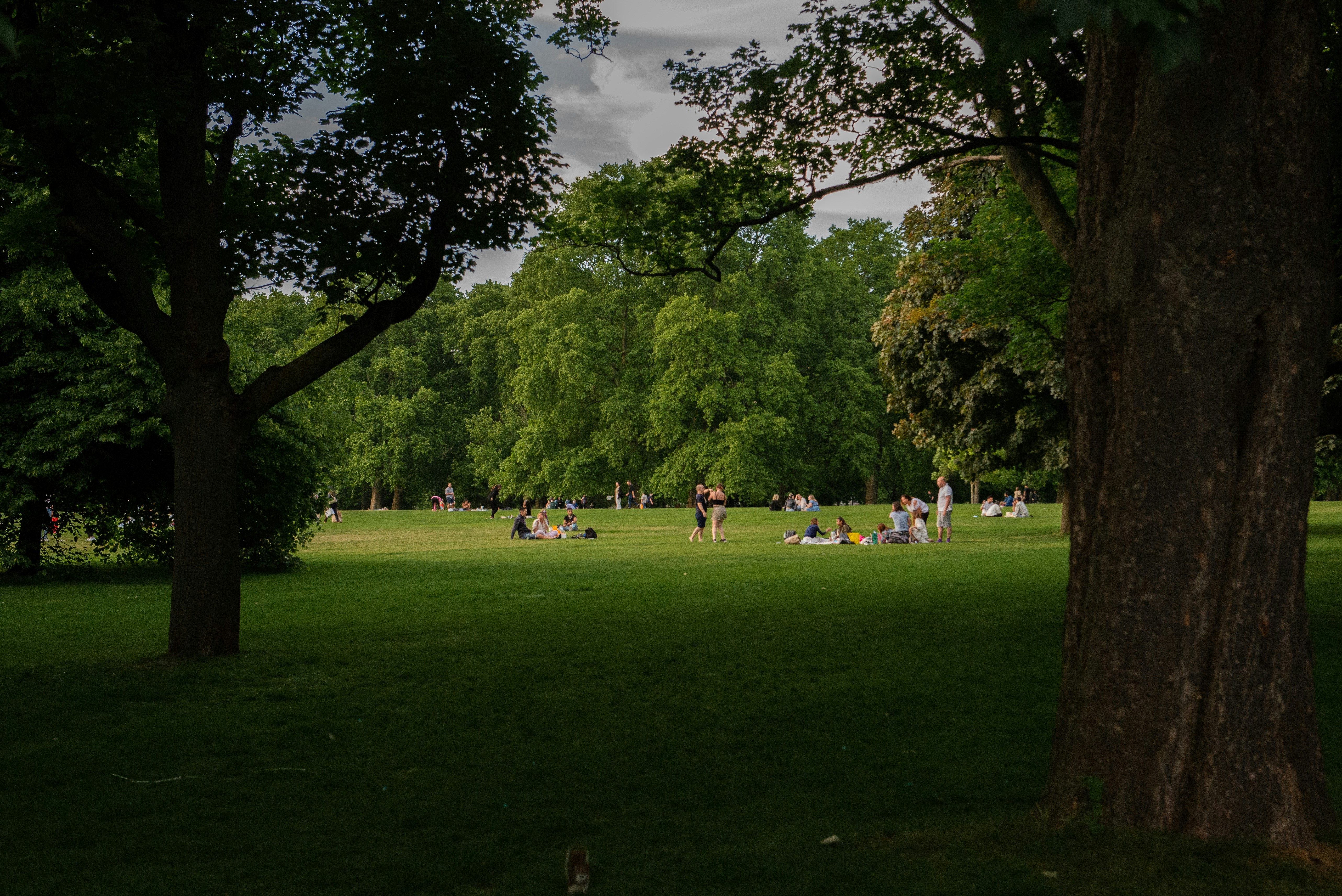 A group of people sitting on top of a lush green field photo – Free ...