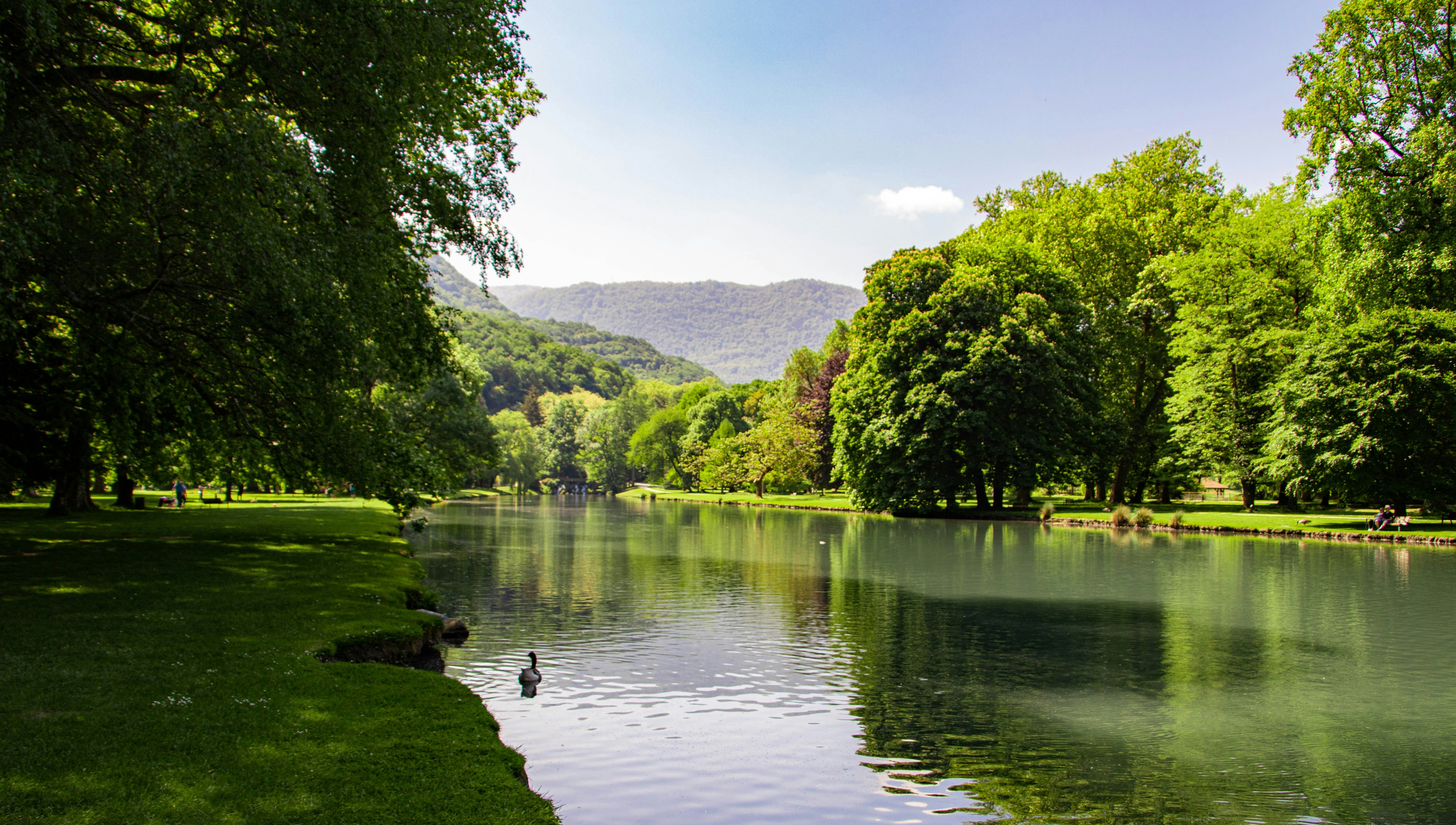 Lush green trees lining a tranquil river, reflecting the blue sky and distant mountains. A solitary duck glides across the calm water.