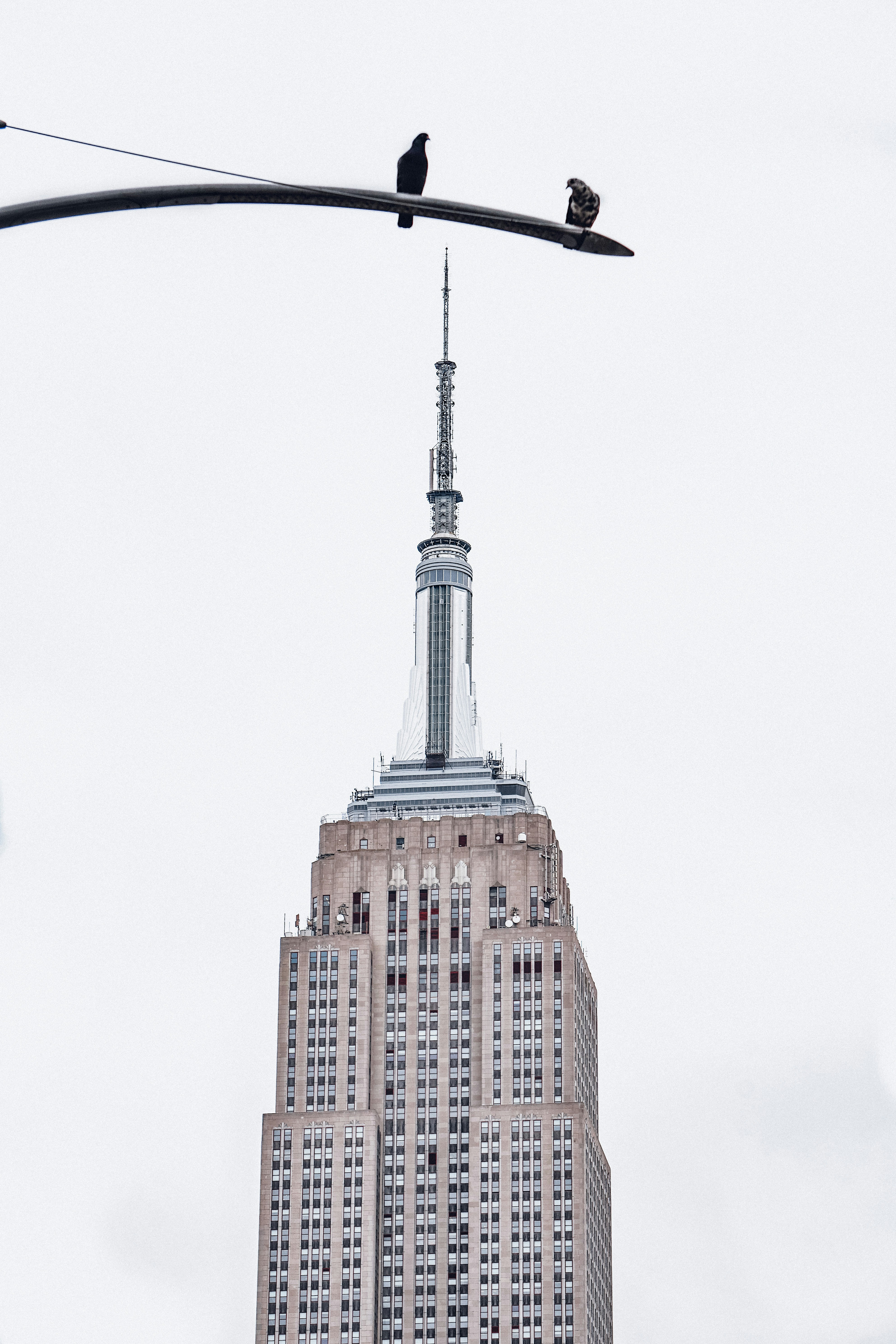Midtown Vigil: Two Birds on a Curve Over the Empire State Building