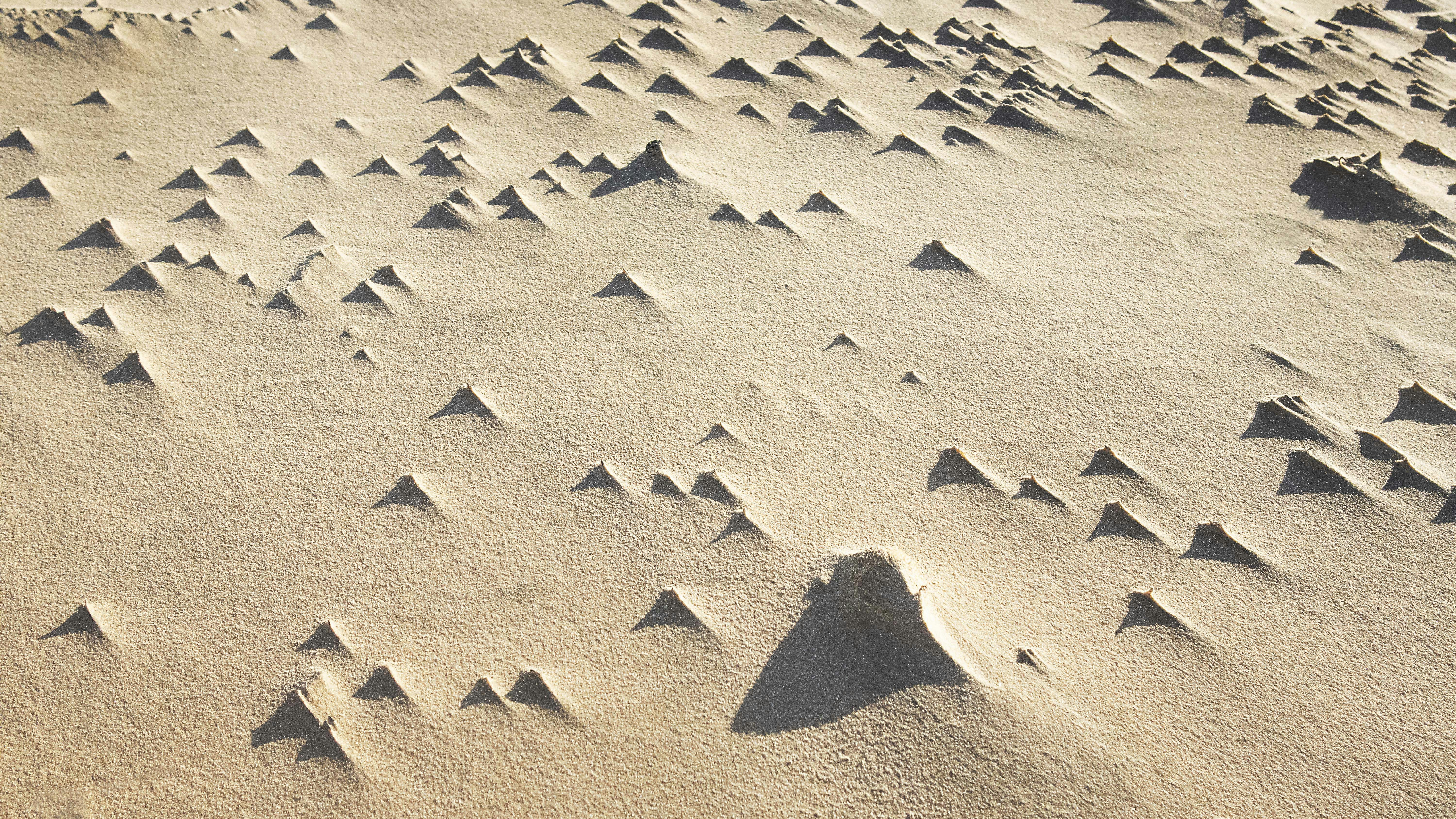 Sun-Kissed Triangles: Geometric Dune Field in Desert Light
